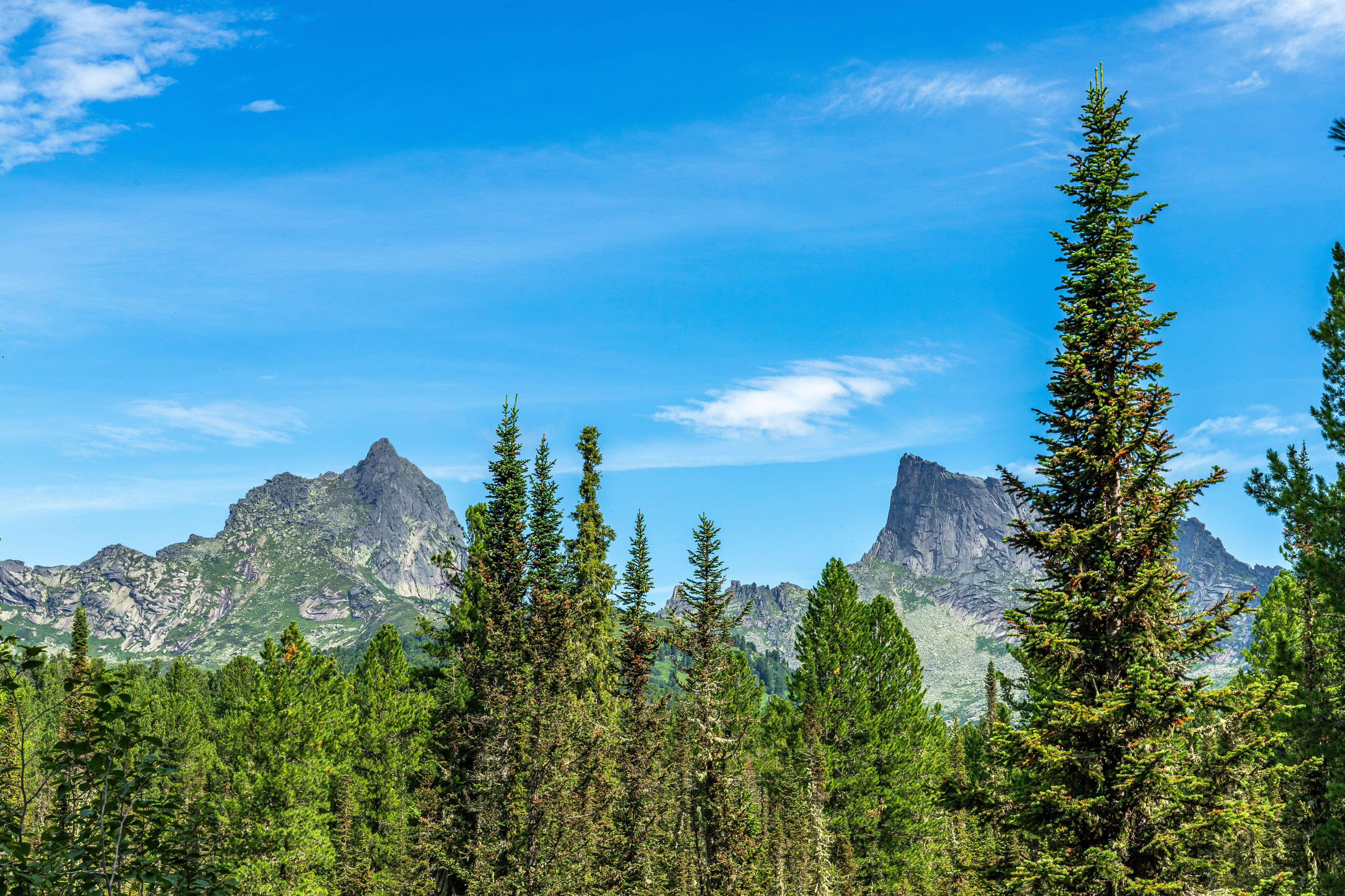 A mountain range with trees and a blue sky · Free Stock Photo