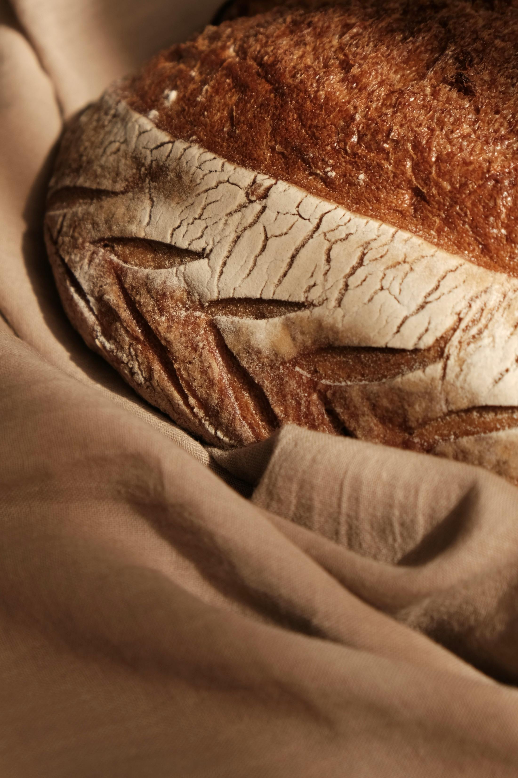 Without Background Chcoloate Pastries Photos, Download The BEST Free ...