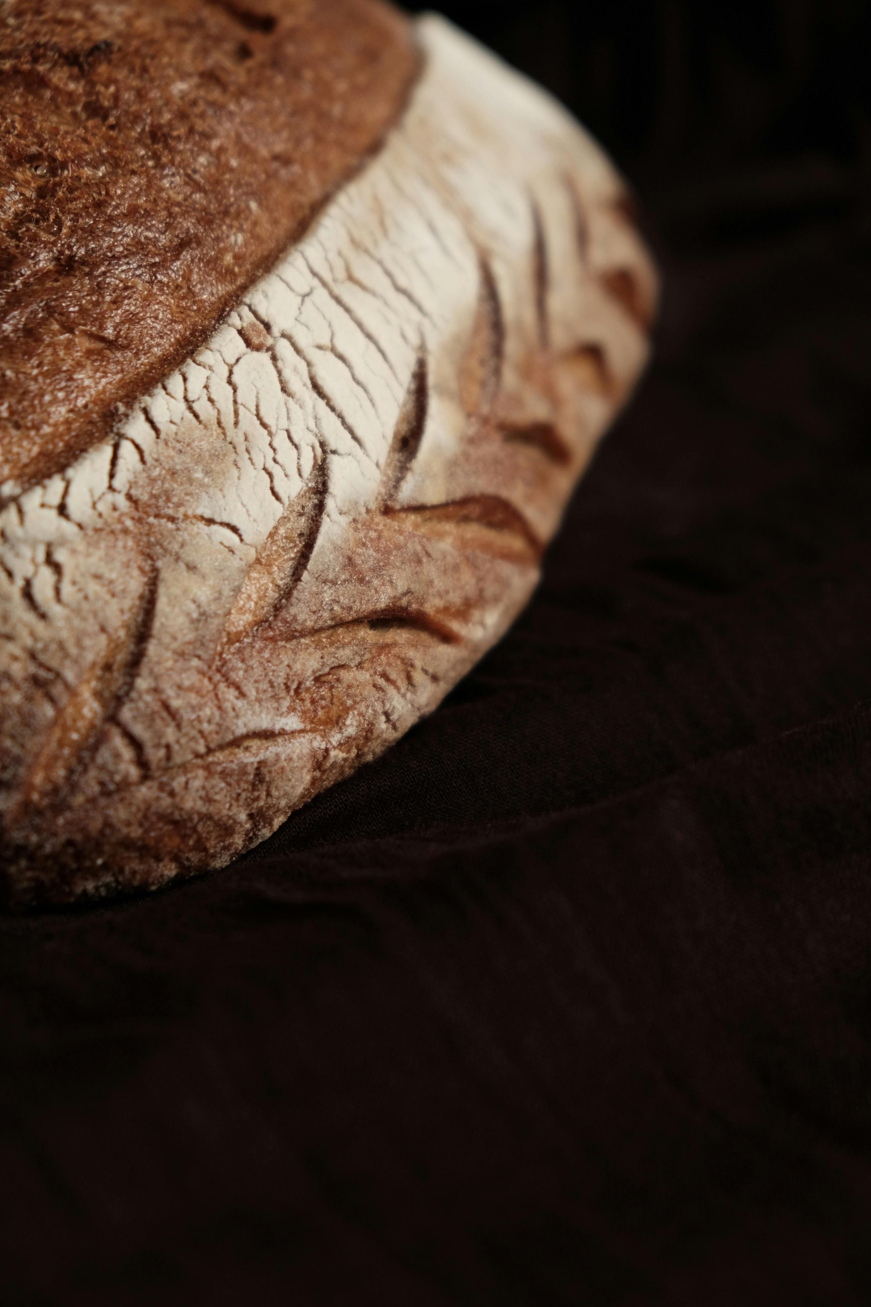 Human Holding a Bread · Free Stock Photo
