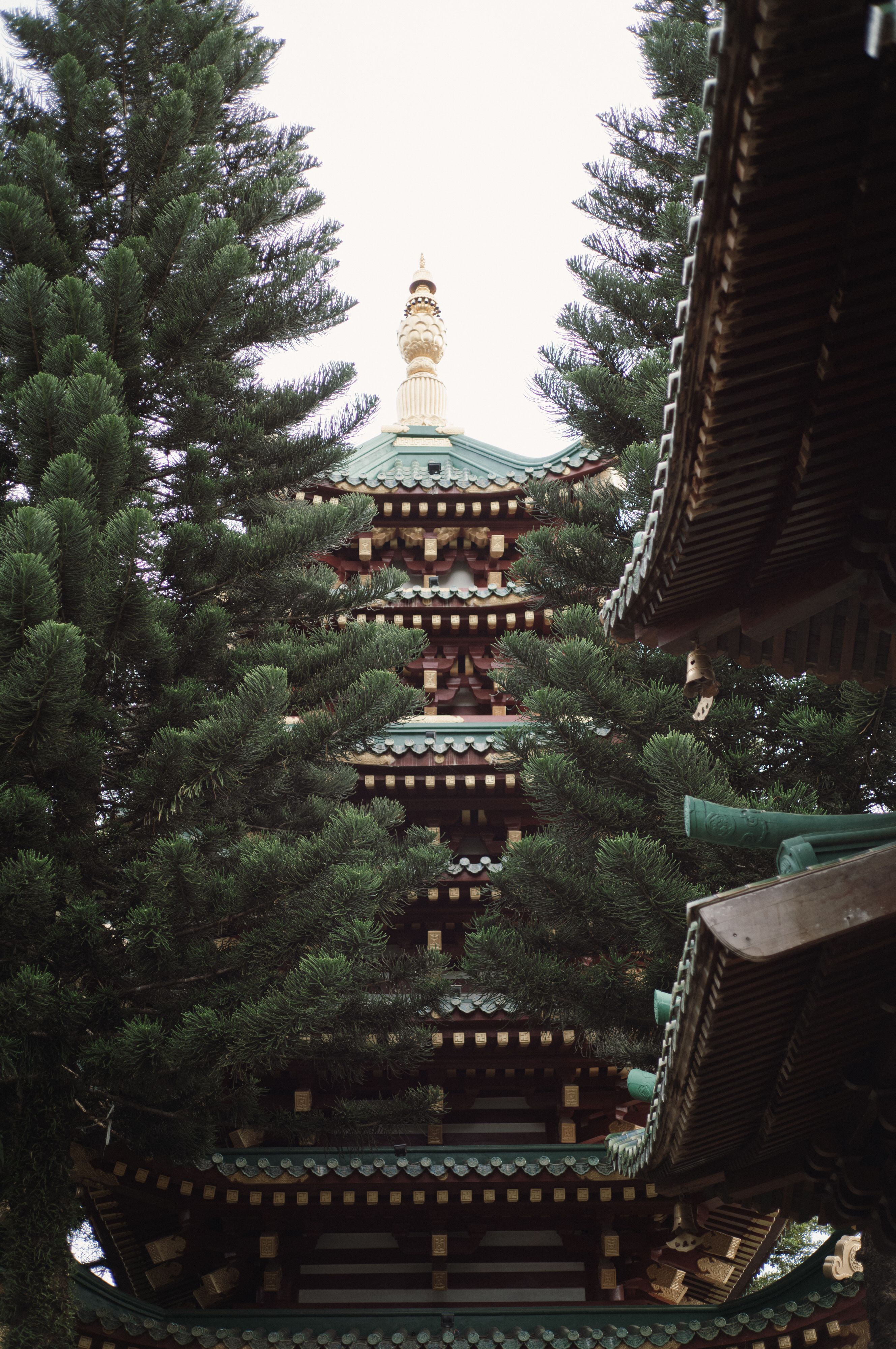 Serene Japanese Monastery Photos, Download The BEST Free Serene ...