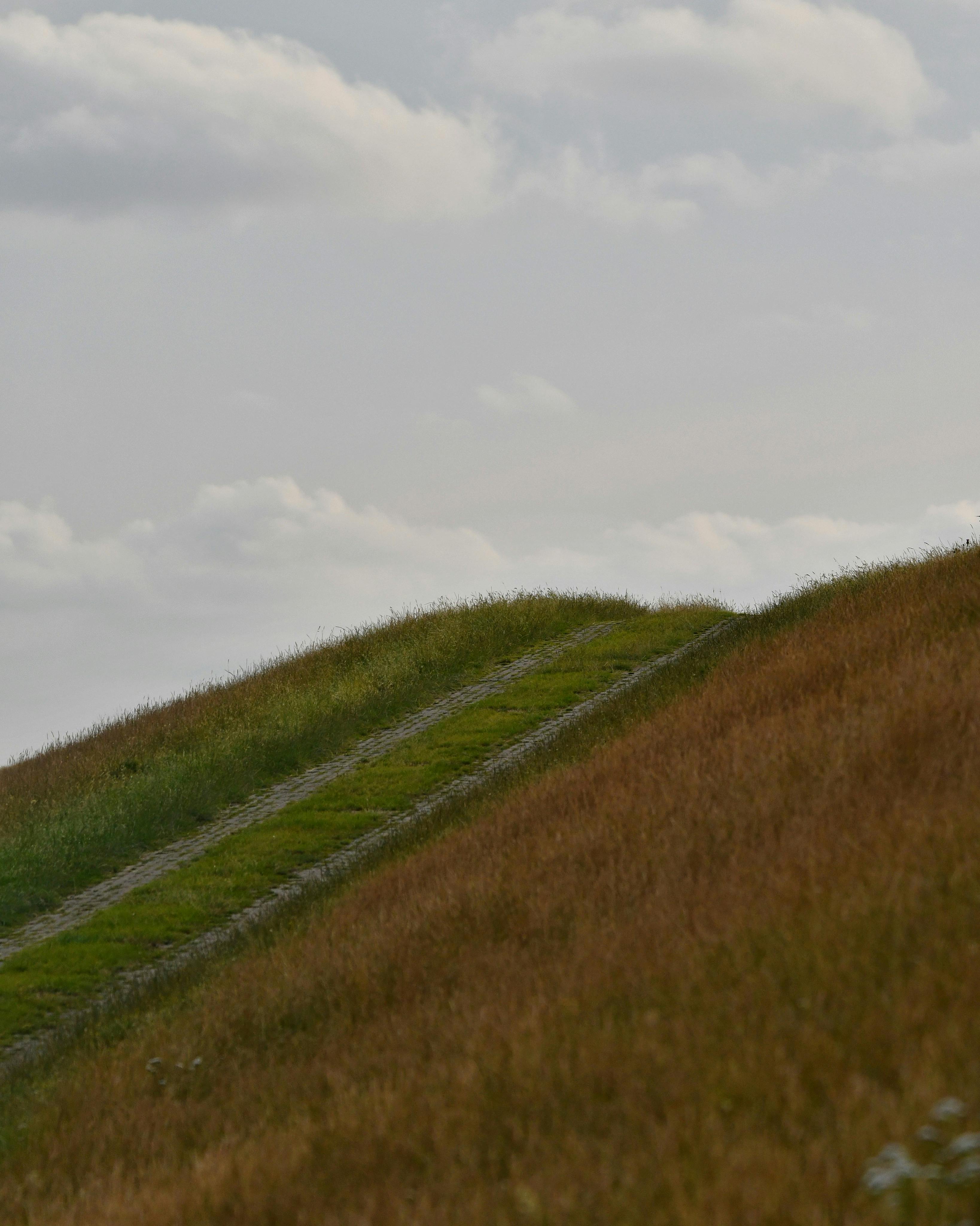 A man walking on a grassy hill with a path · Free Stock Photo