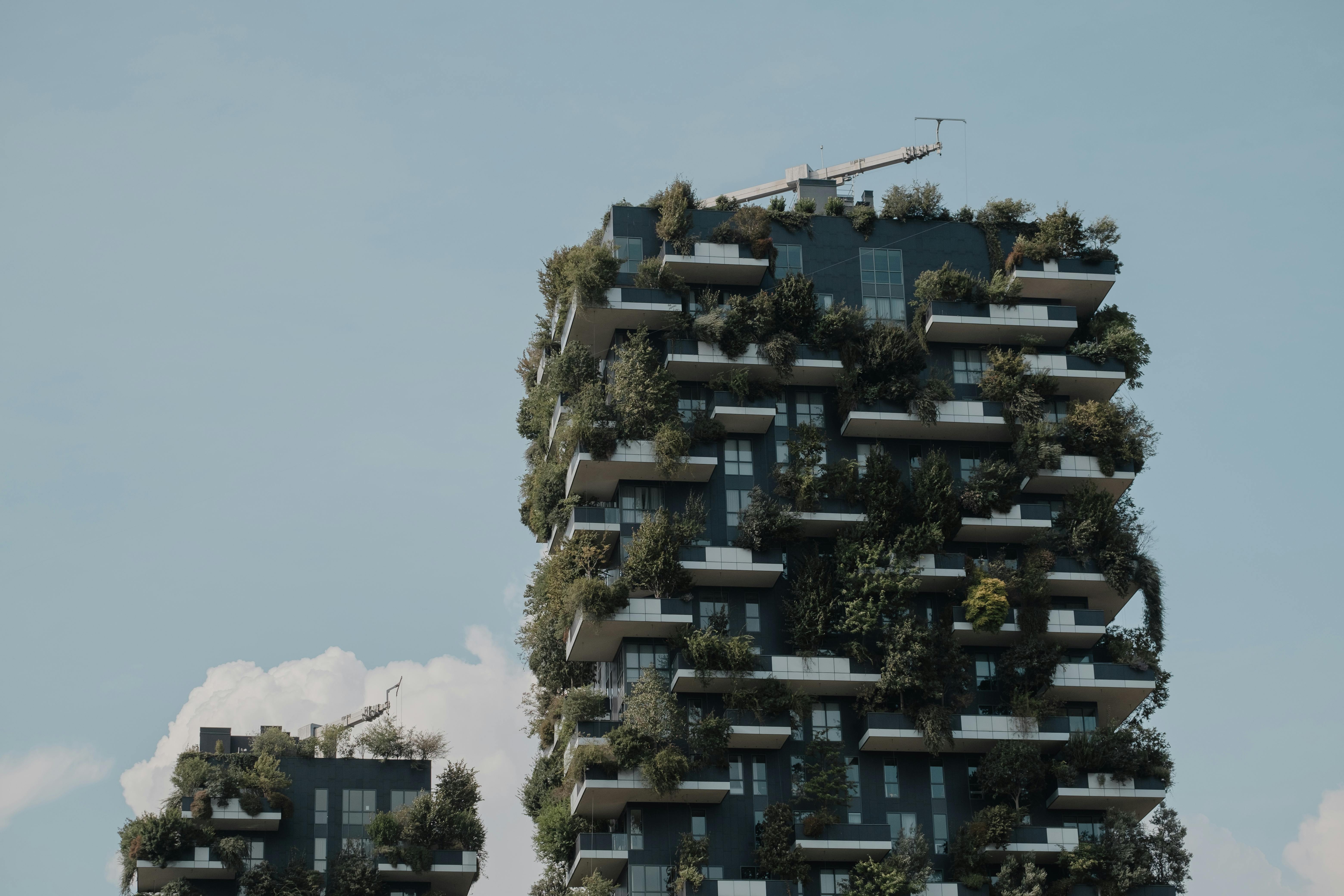 Sustainable Building Materials The Rise Of Eco Friendly Options
