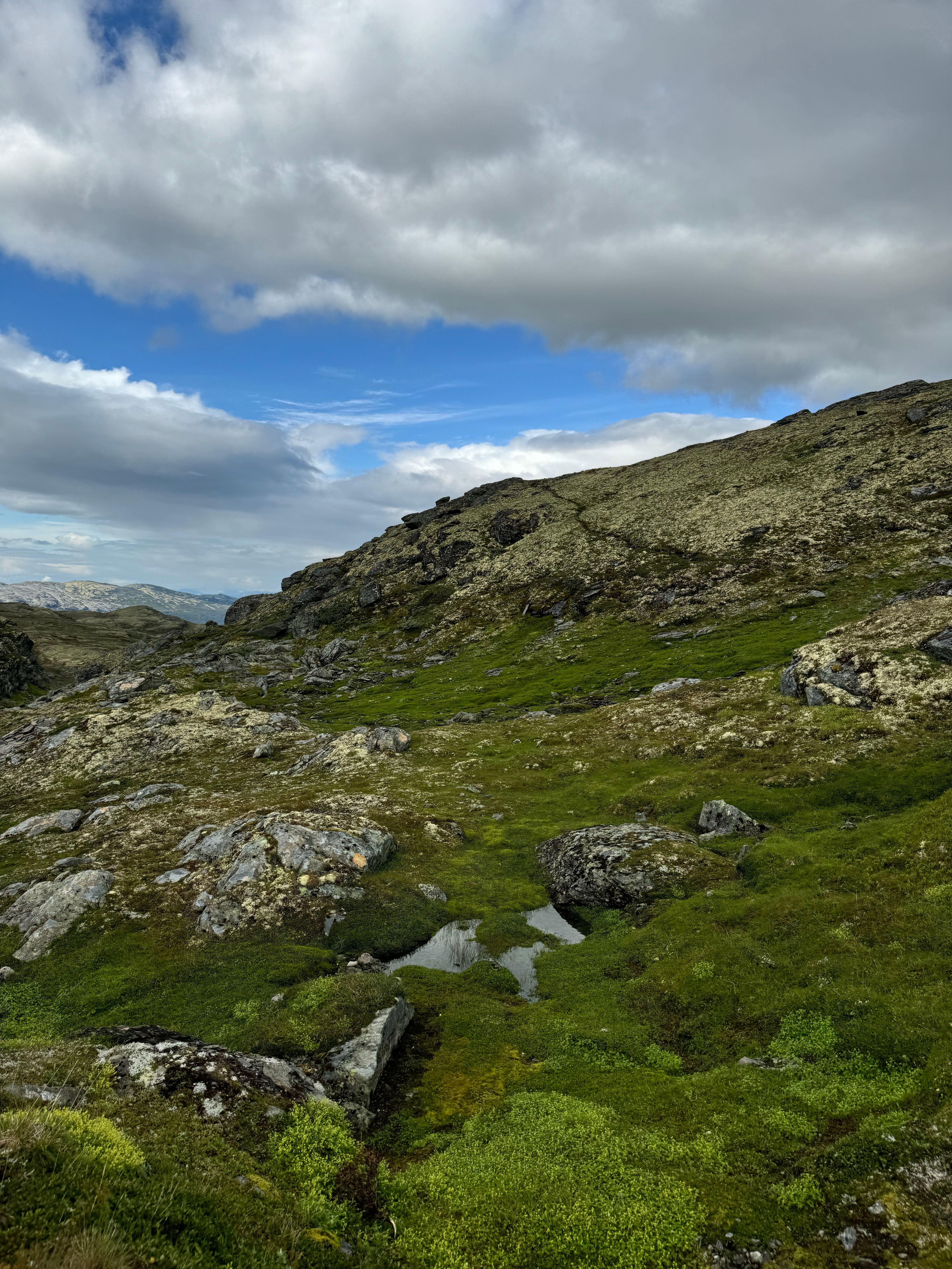 A rocky landscape with grass and rocks · Free Stock Photo