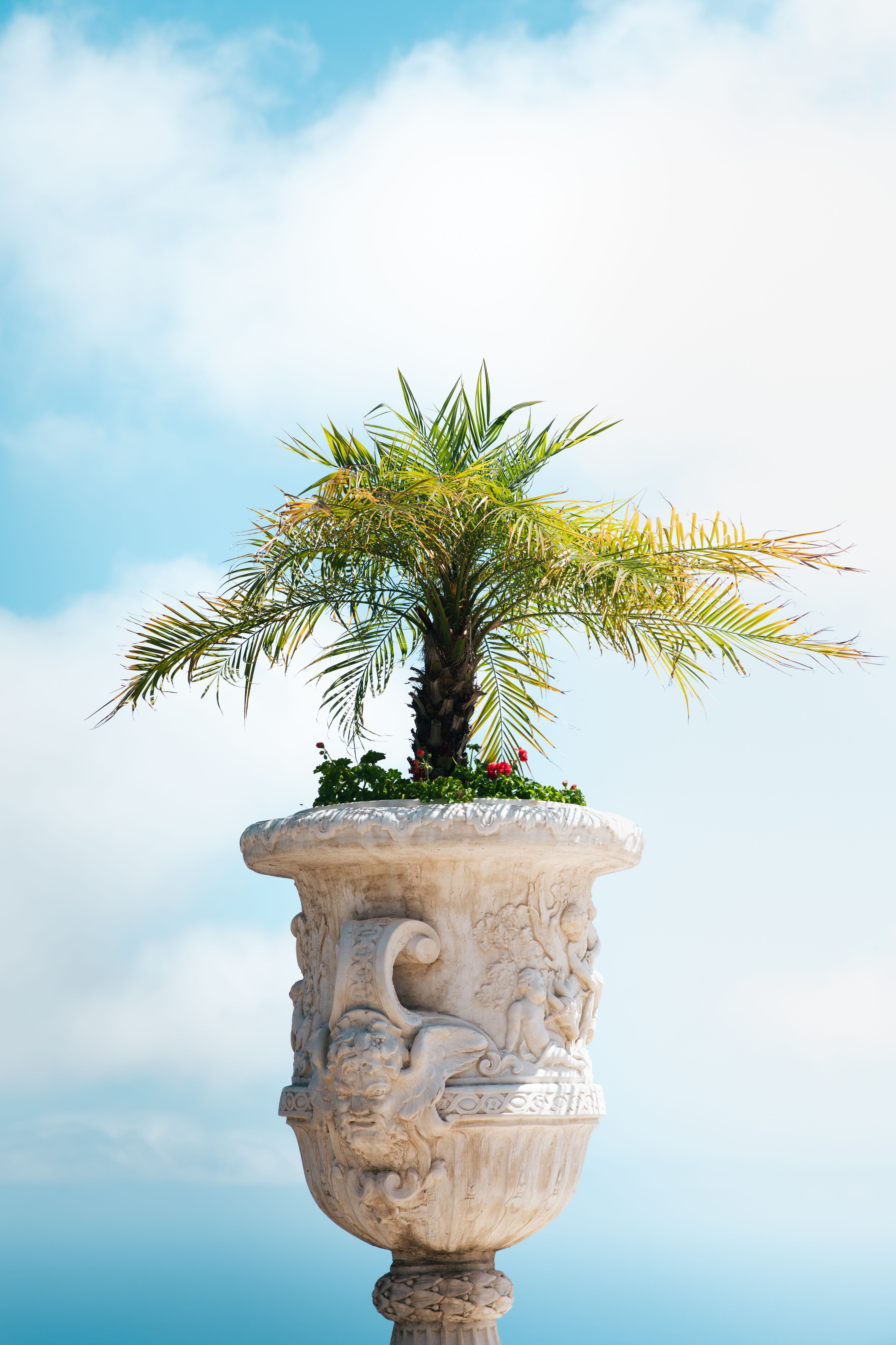 A palm tree is in a vase on top of a stone pedestal · Free Stock Photo