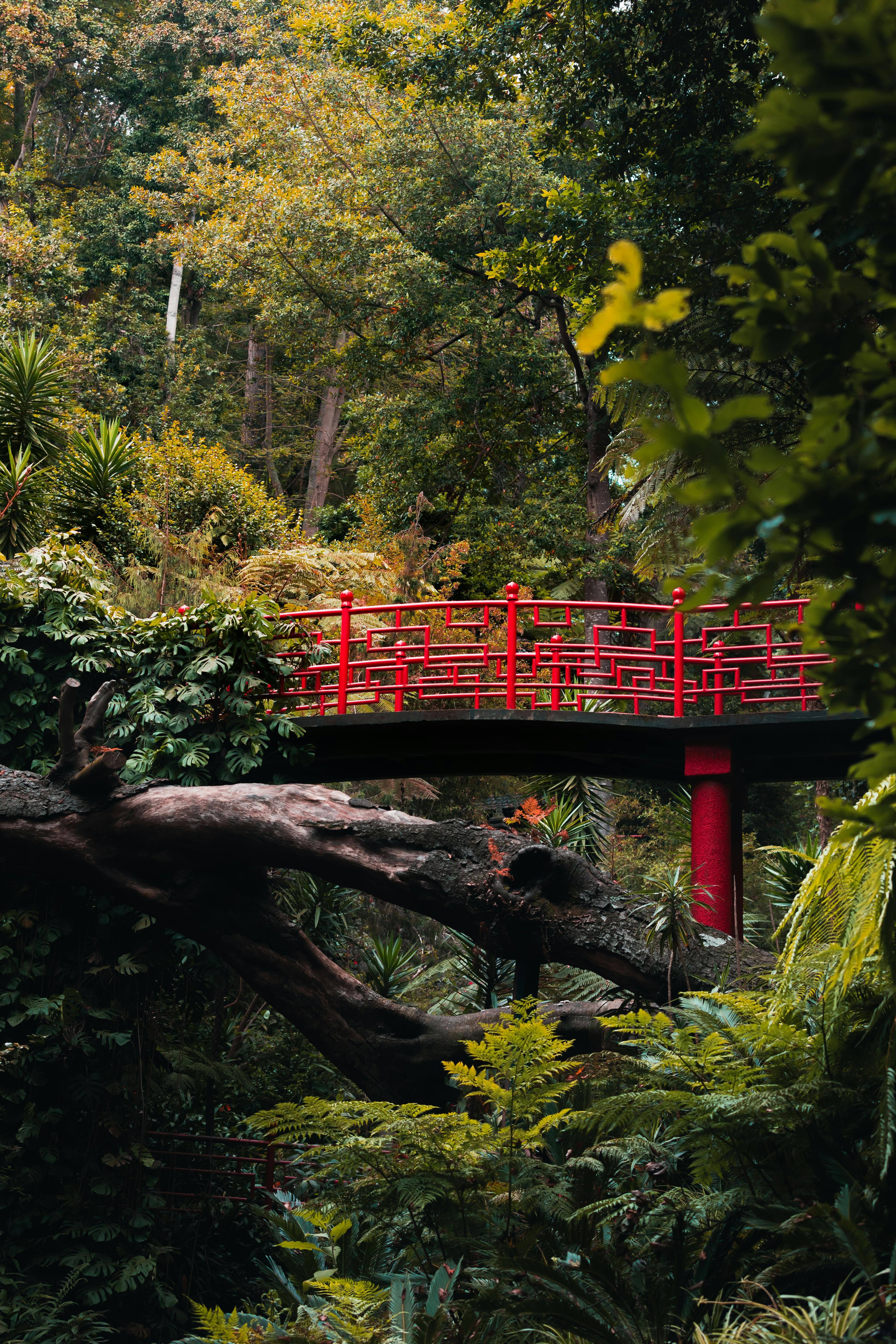 Gardens Jpeg Images Photos, Download The BEST Free Gardens Jpeg Images ...