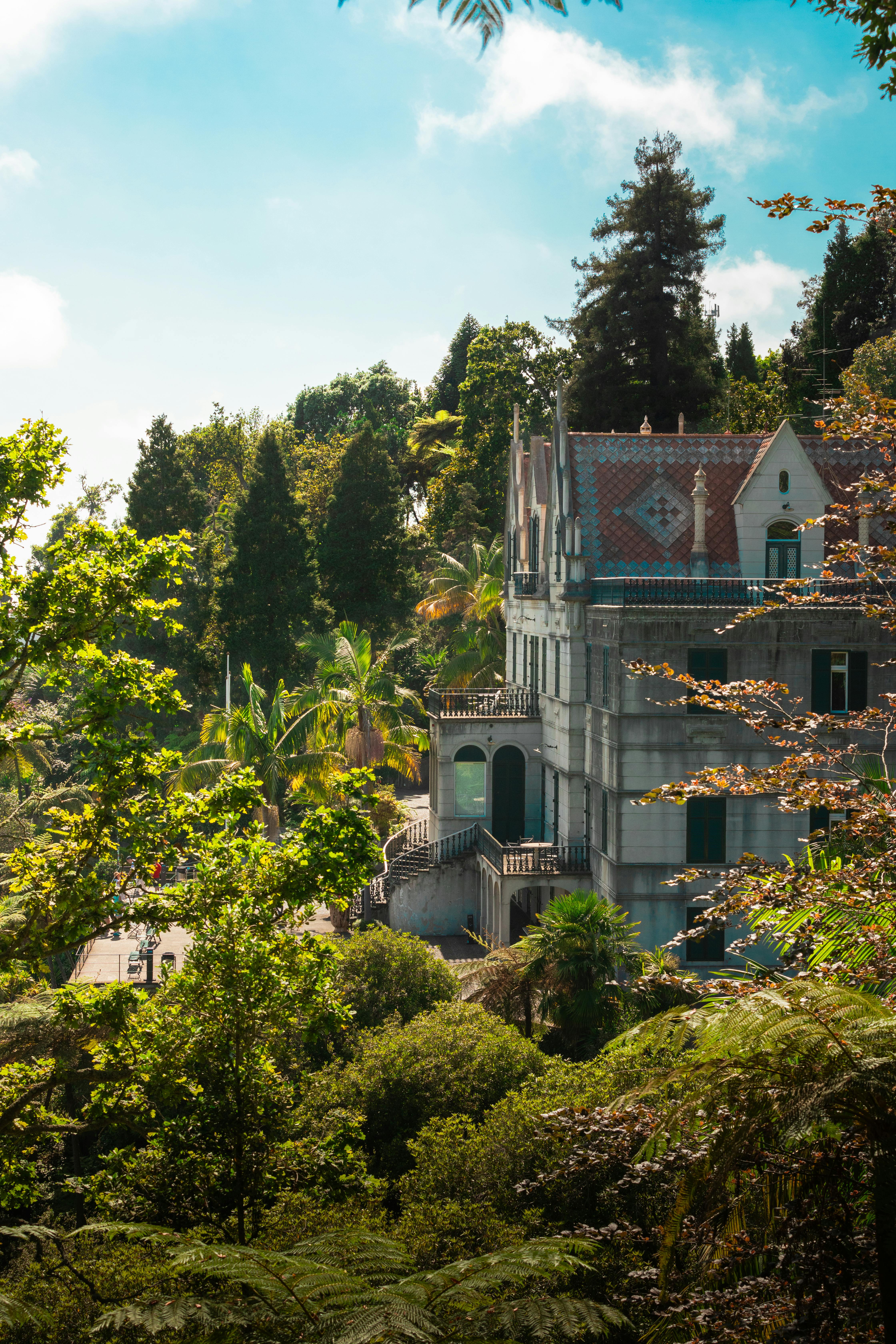 A house surrounded by trees and lush green vegetation · Free Stock Photo