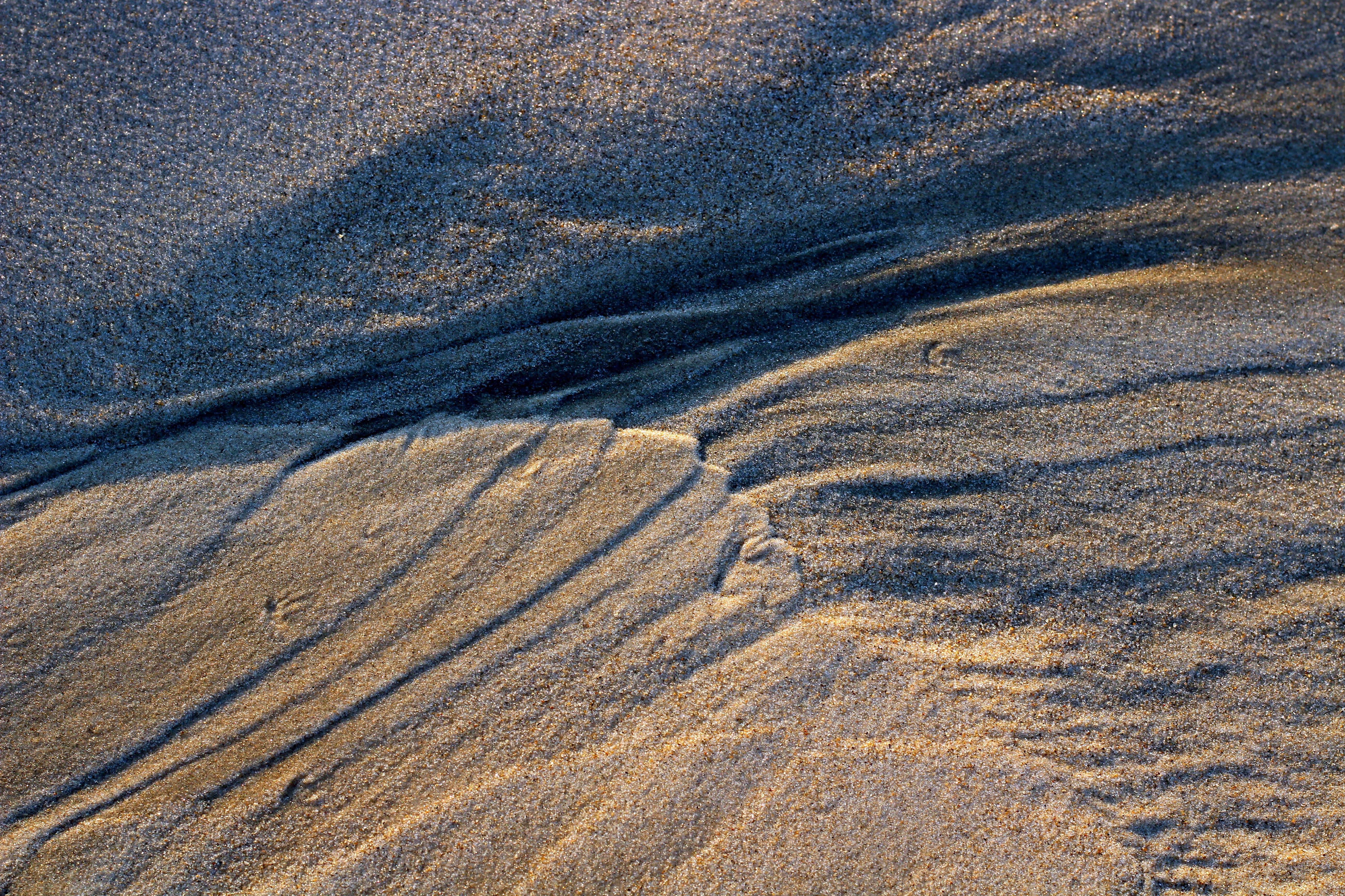 A close up of a sand dune with a line in it · Free Stock Photo