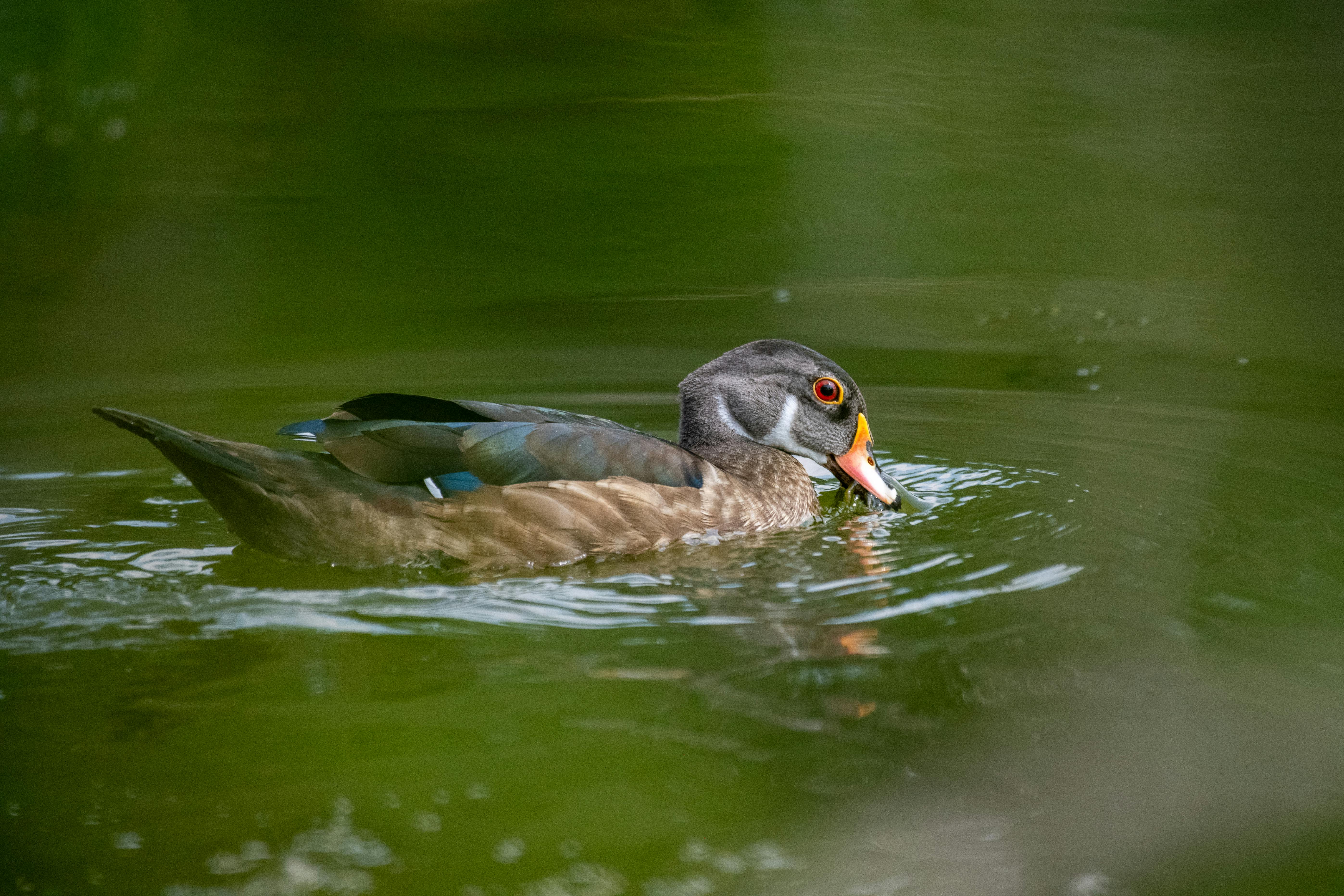 900+ Foto Bing+aix+imx+imx+imx+imx+imx+imx+imx+imx+imx+im Terbaik ...