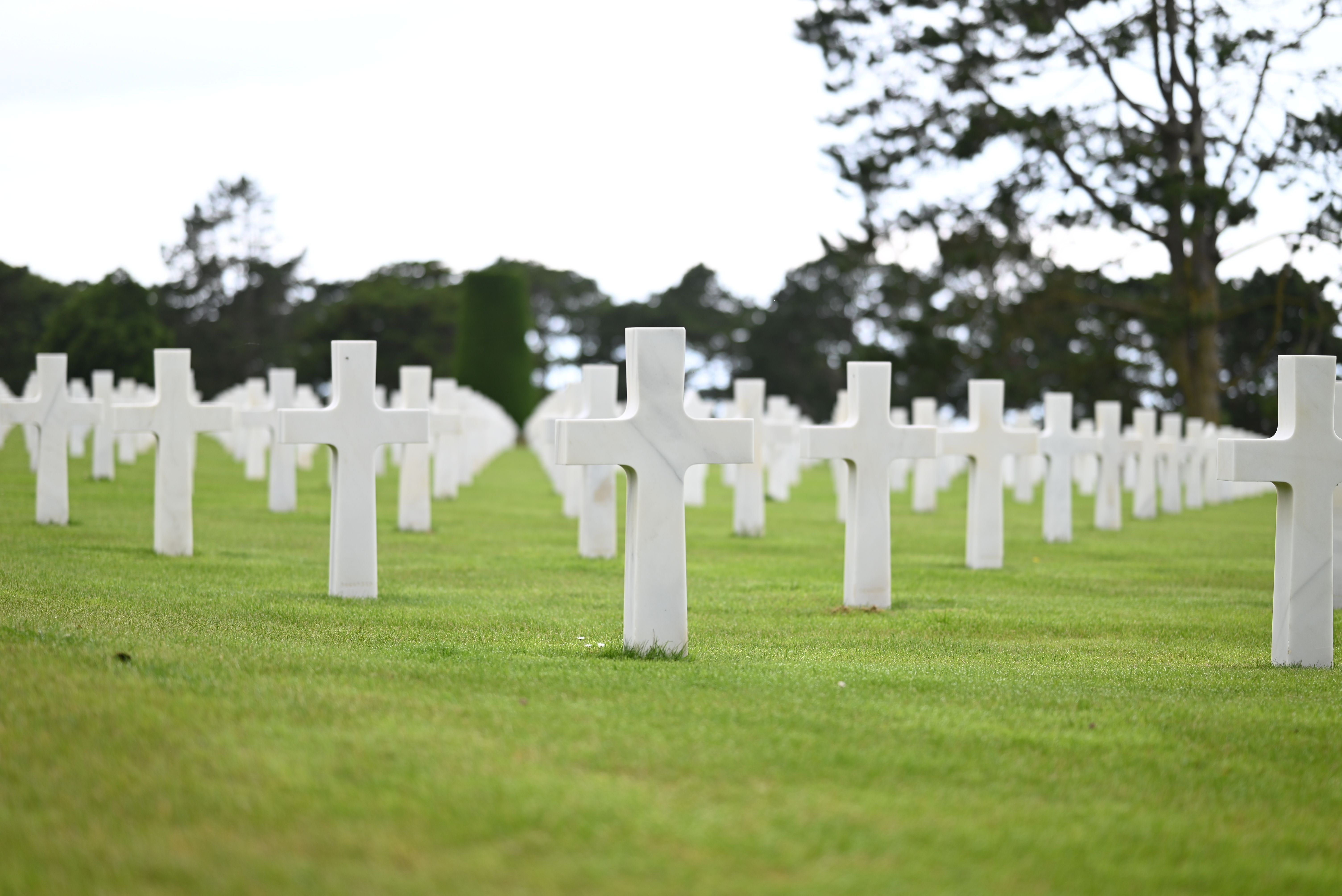 A field of white crosses with green grass · Free Stock Photo