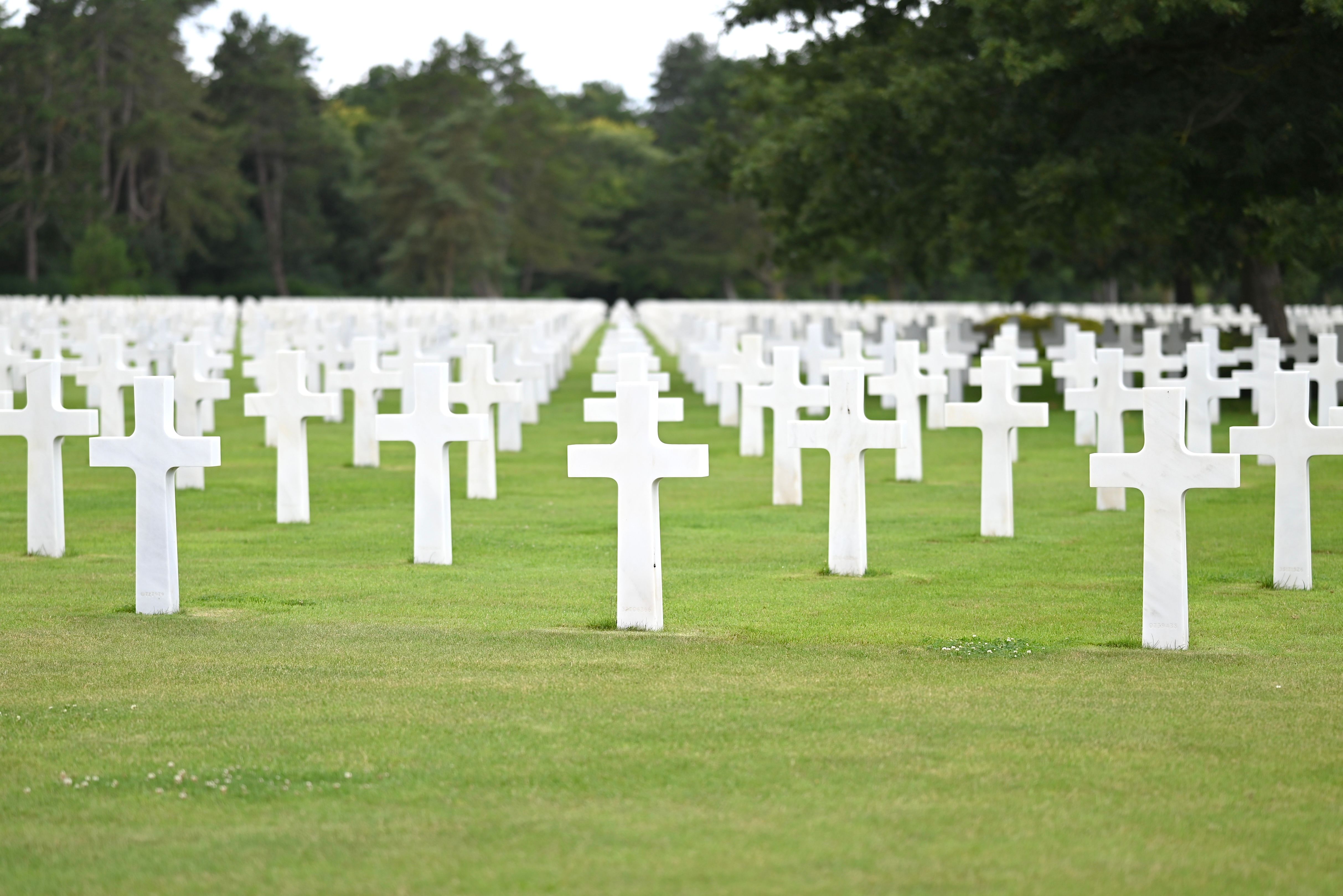 A field of white crosses with green grass · Free Stock Photo