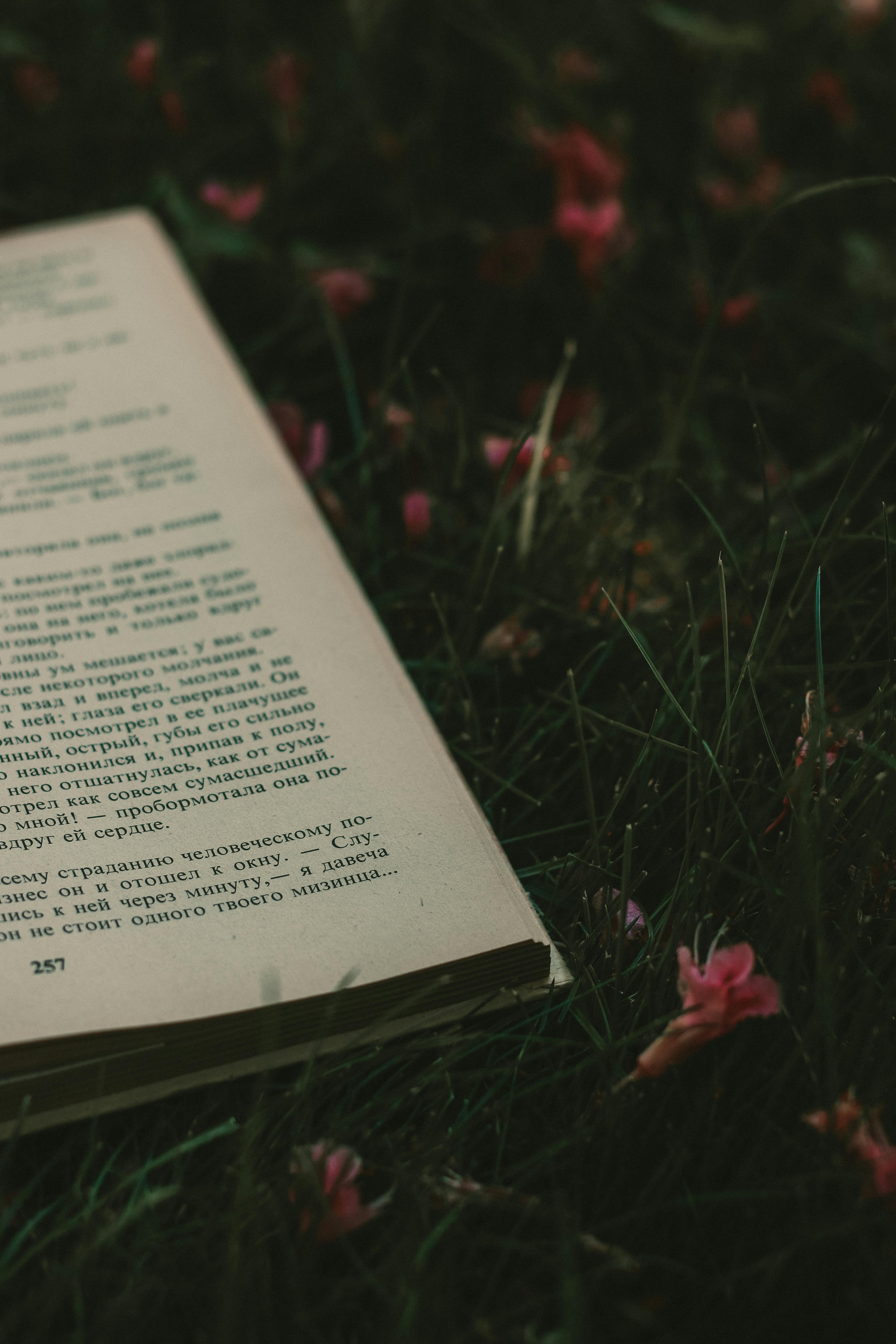 Photo of Open Books on Table · Free Stock Photo