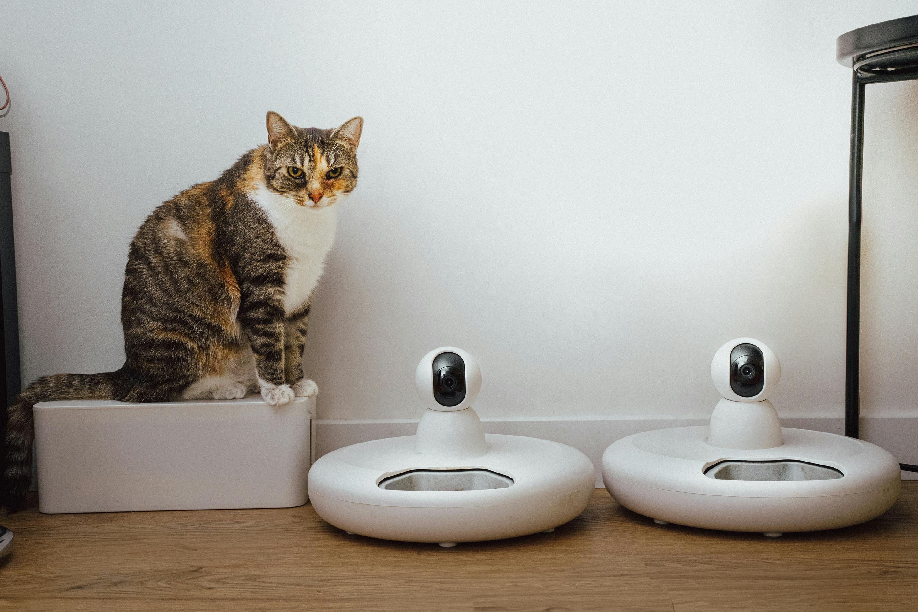smart home, cat food server robot with webcam · Free Stock Photo