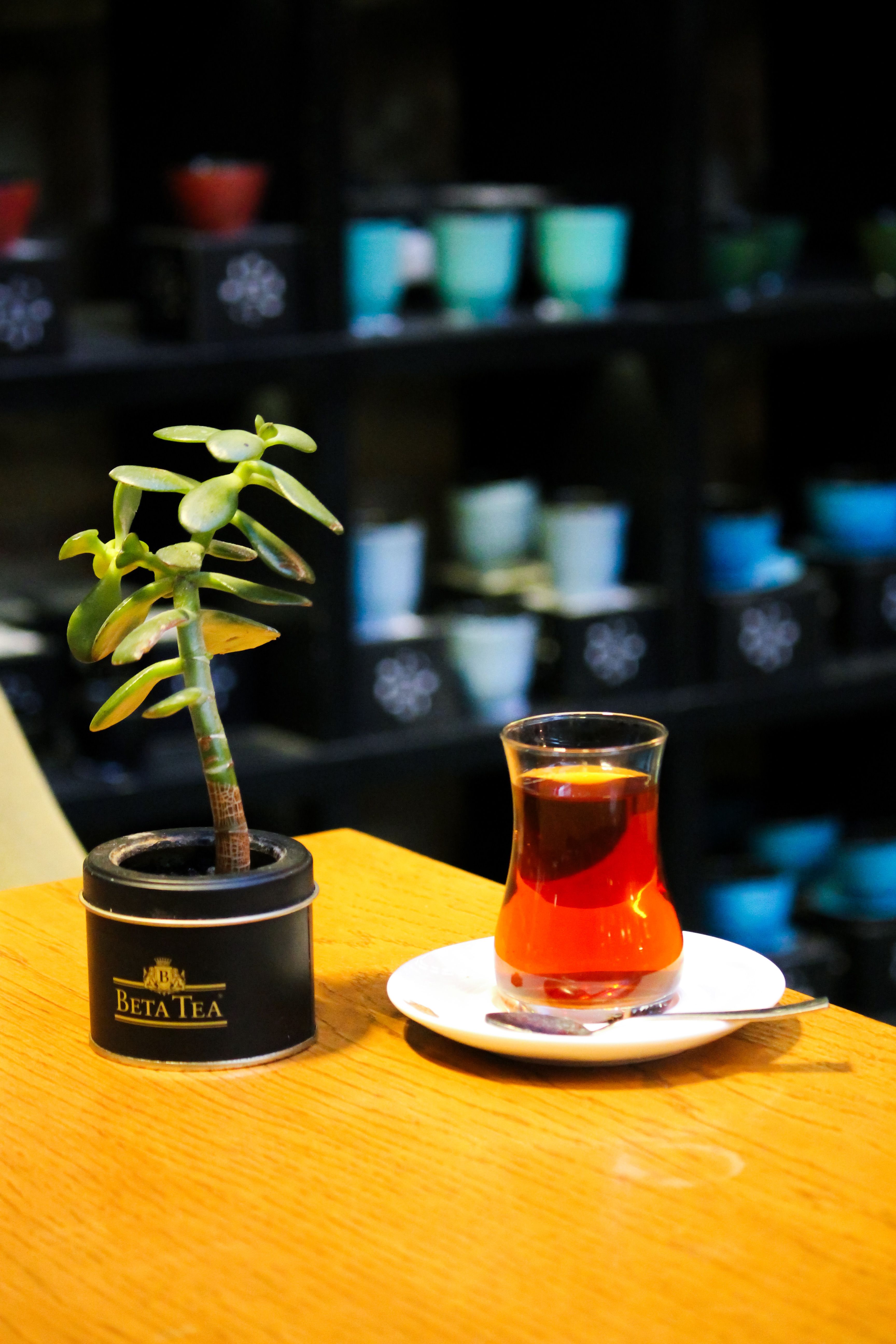 A cup of tea sits on a table next to a plant · Free Stock Photo