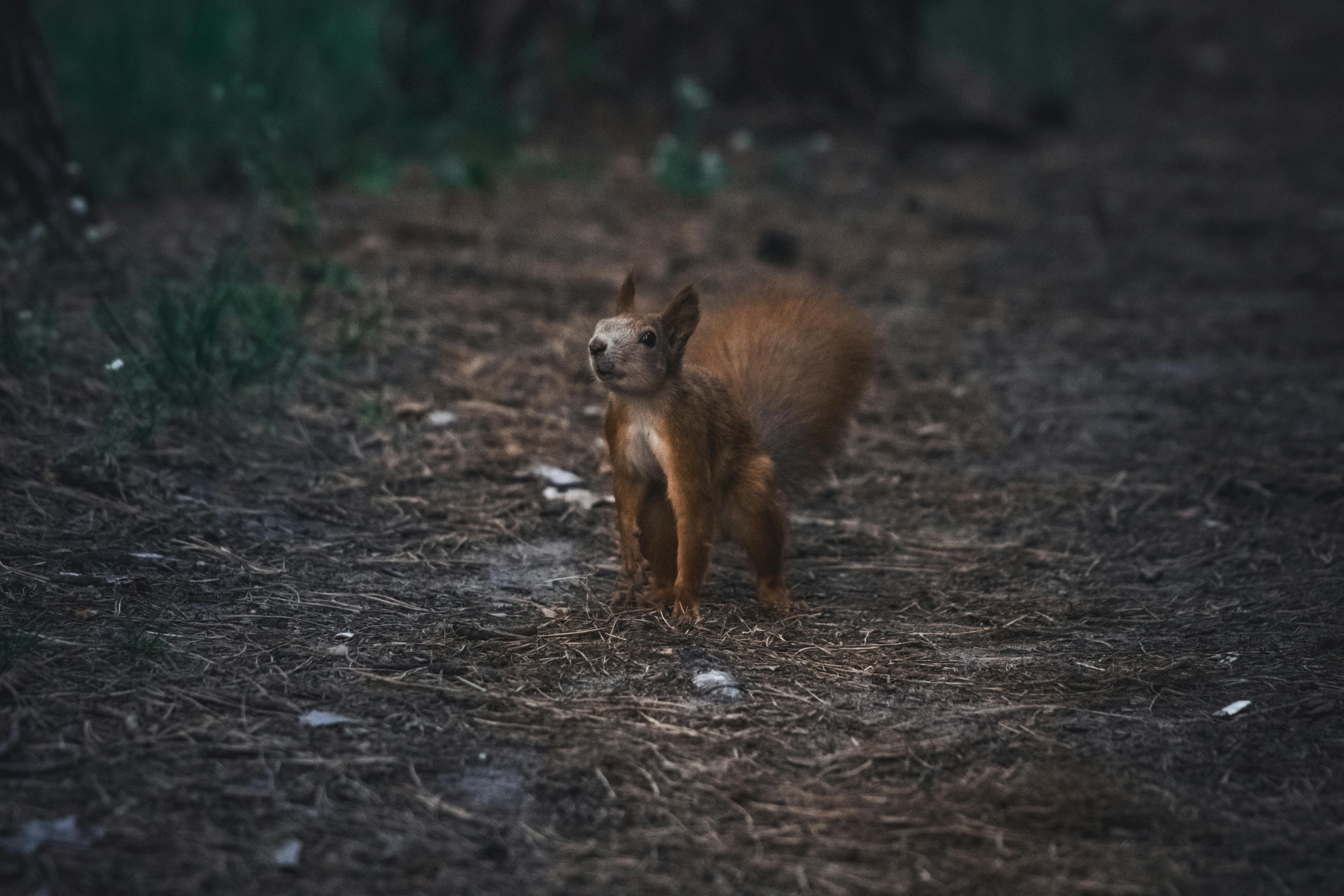 Eugene Shirokov - Photography