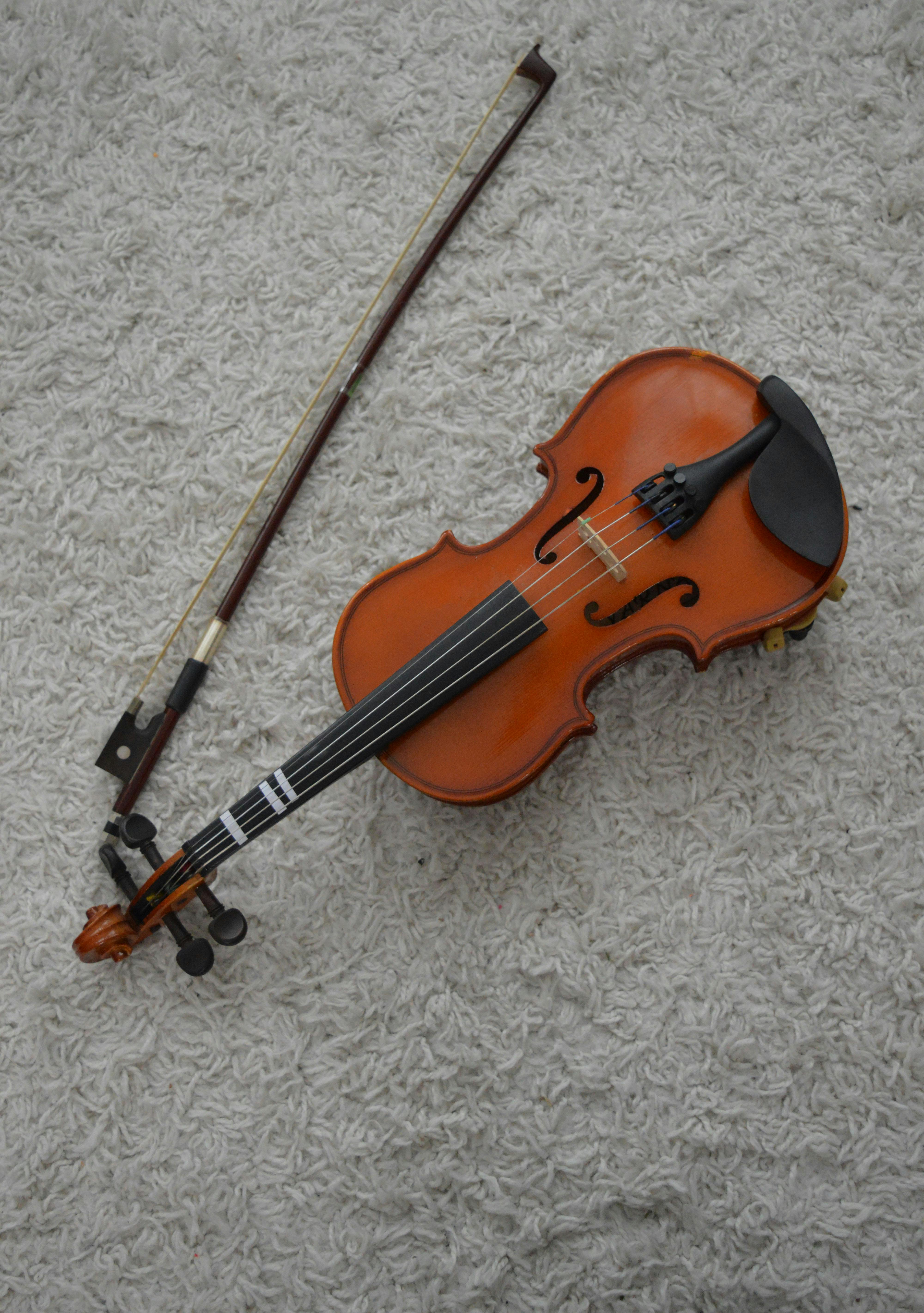 Tigre Viola Photos, Download The BEST Free Tigre Viola Stock Photos ...