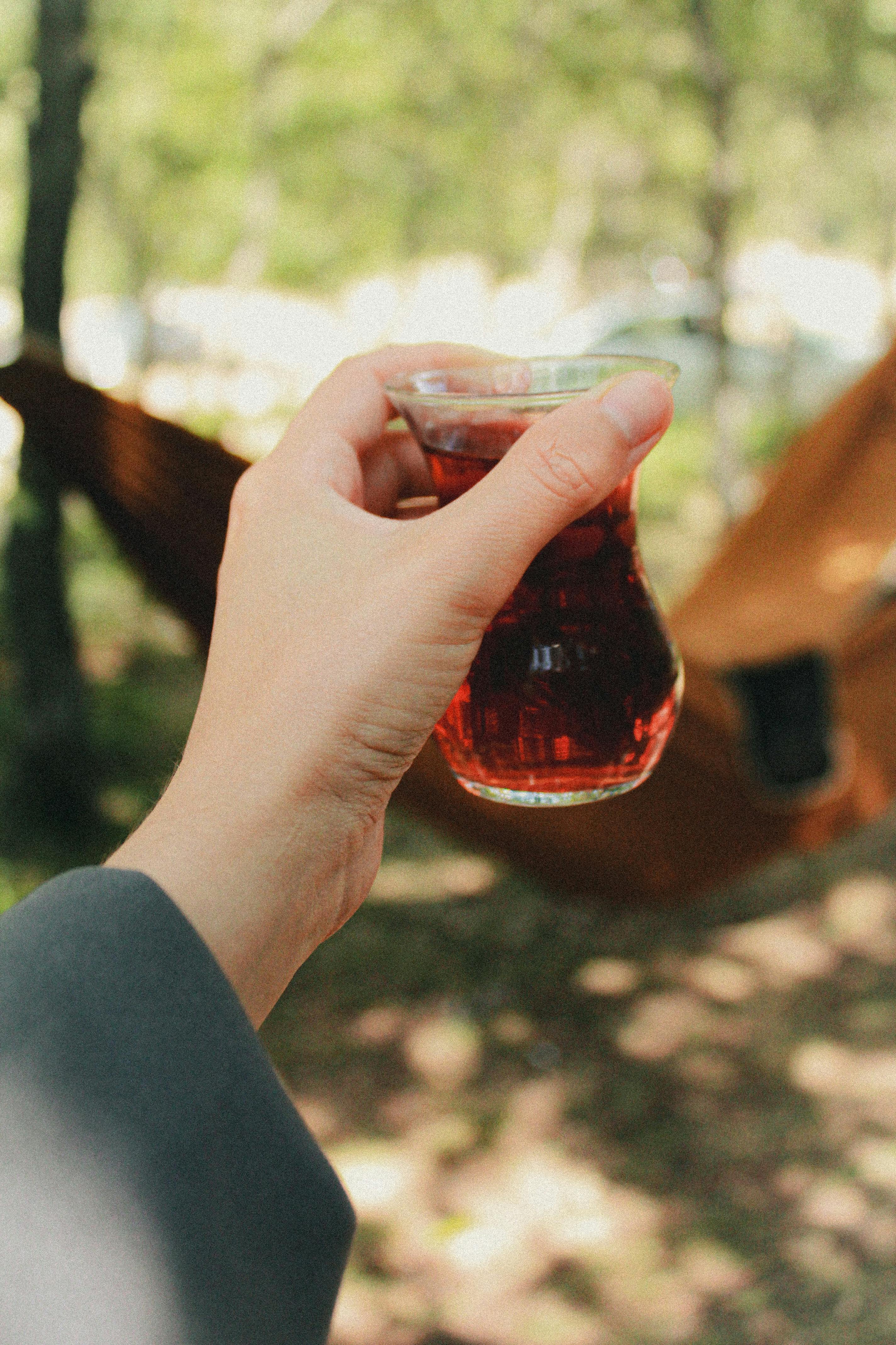 çay keyfi · Free Stock Photo