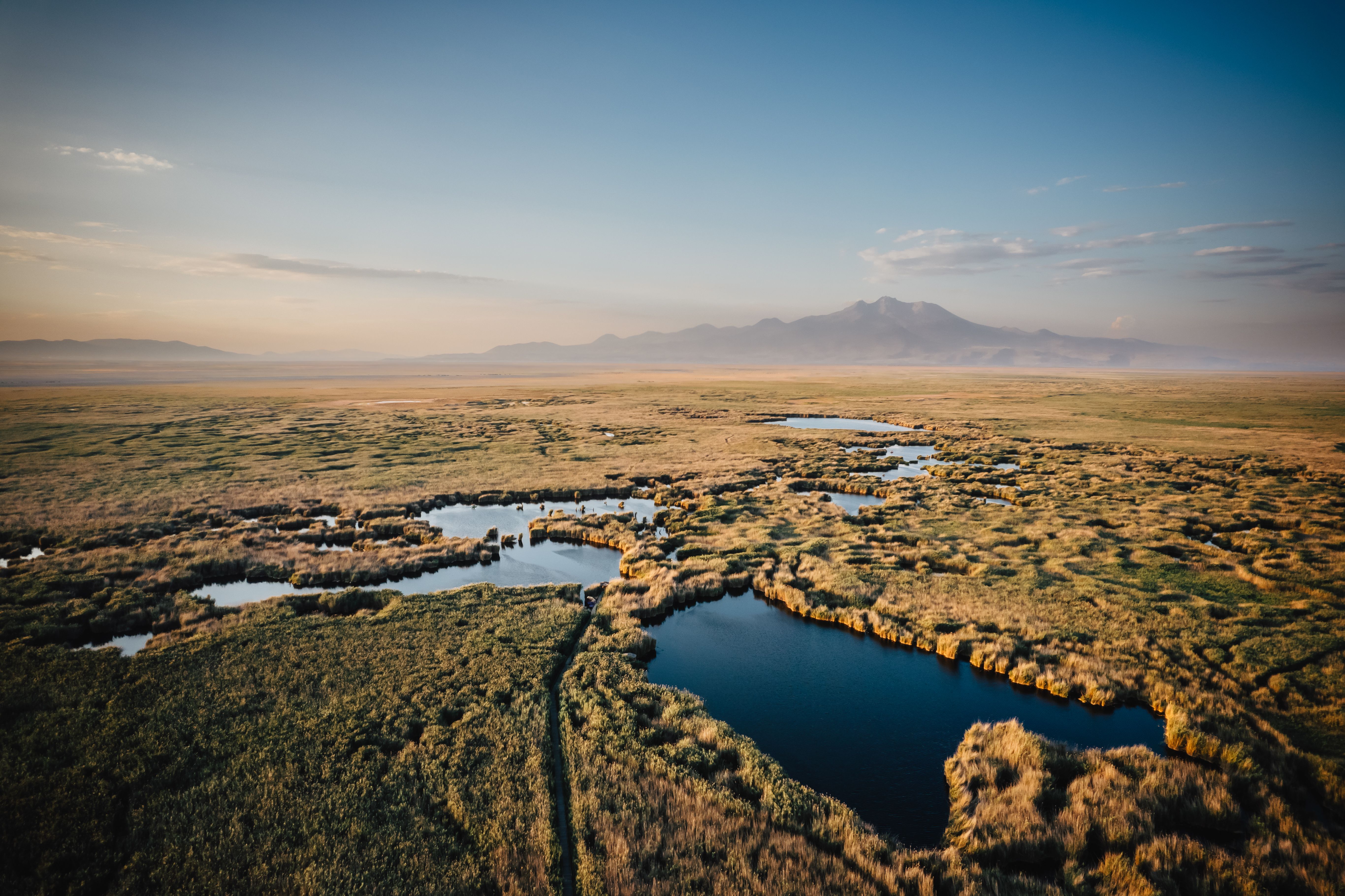 An aerial view of a marsh and a lake · Free Stock Photo