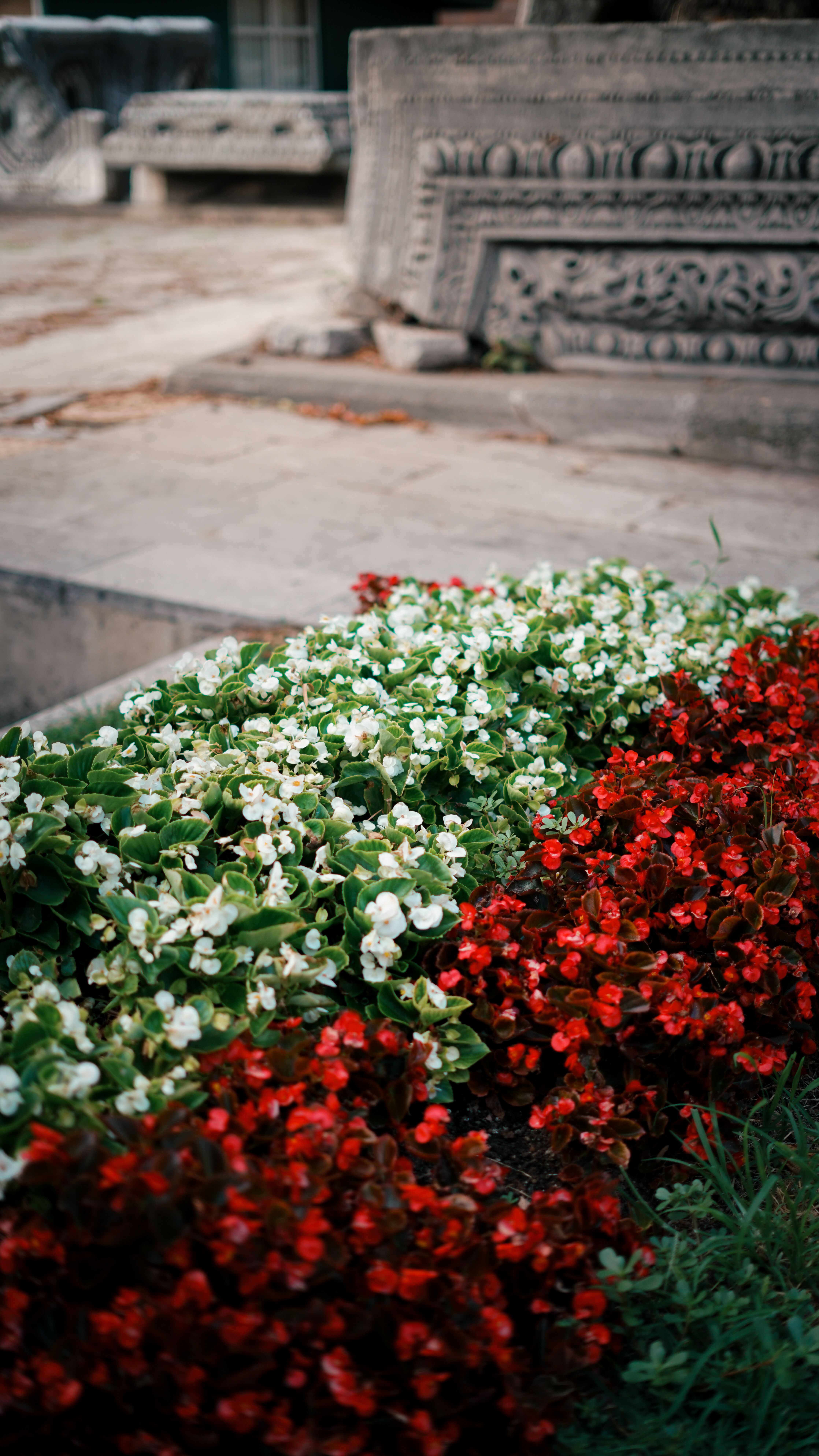 A red and white flower bed with a stone pillar · Free Stock Photo