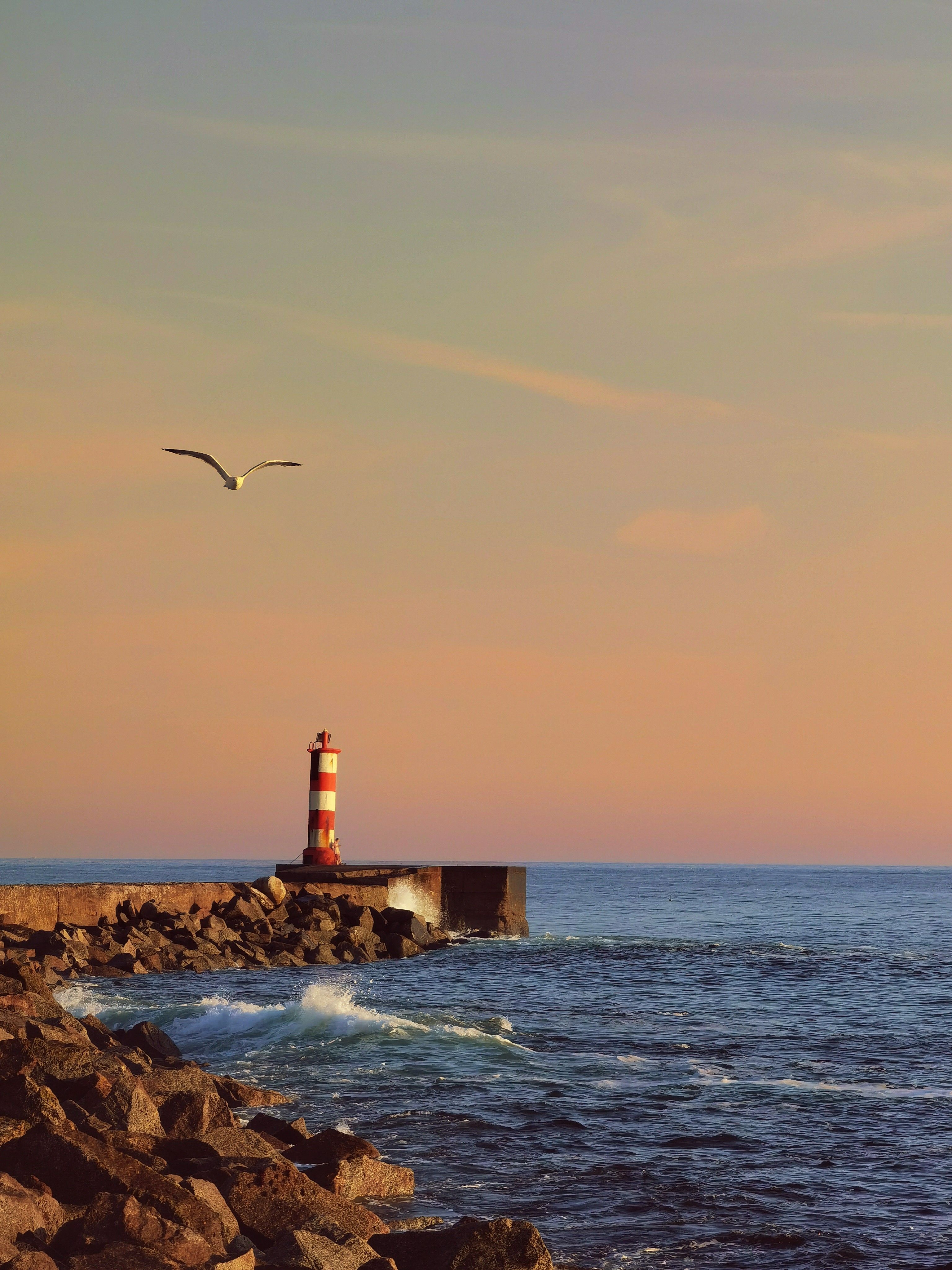 A lighthouse and seagull flying over the ocean · Free Stock Photo
