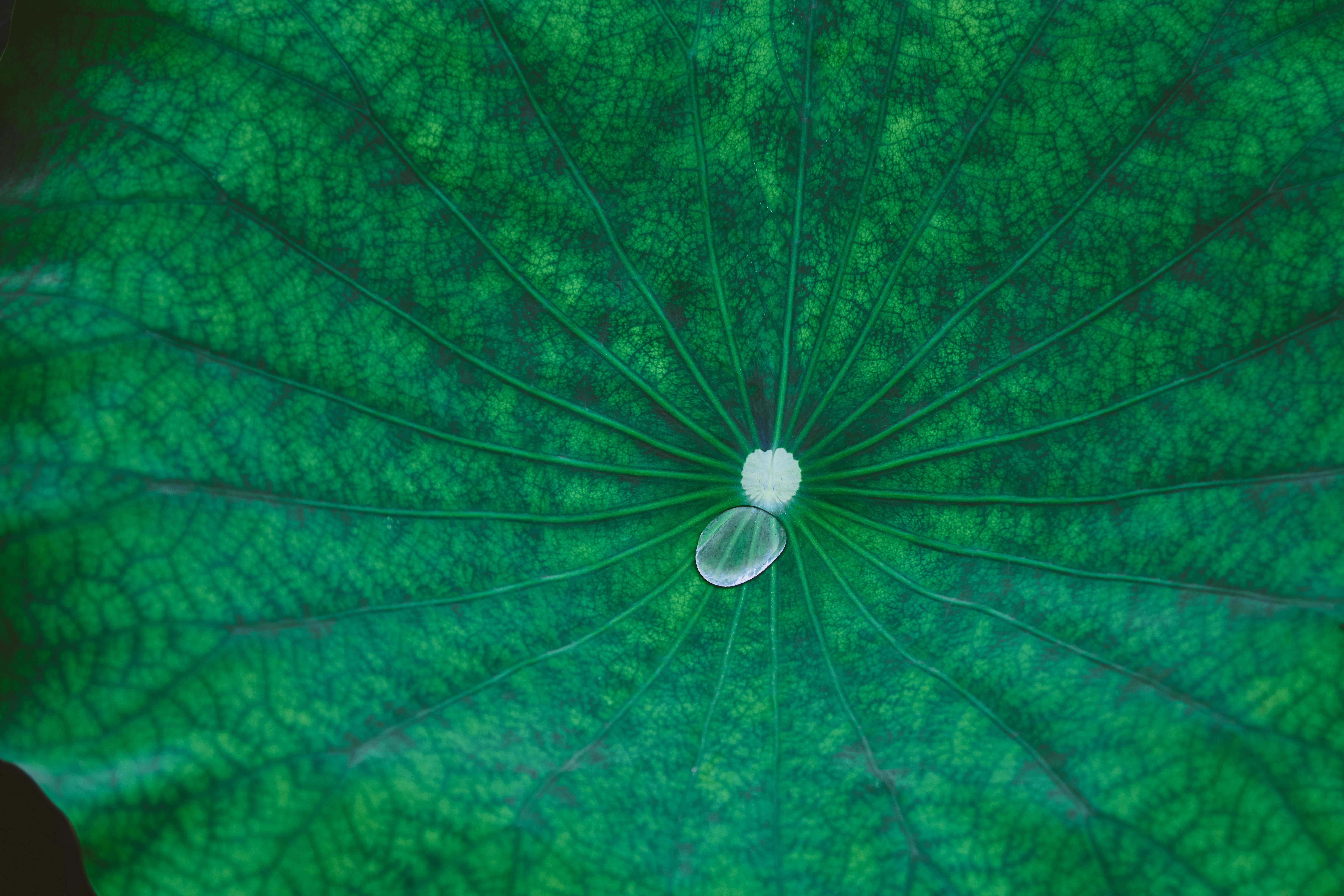 Colorful transparent texture of natural background · Free Stock Photo