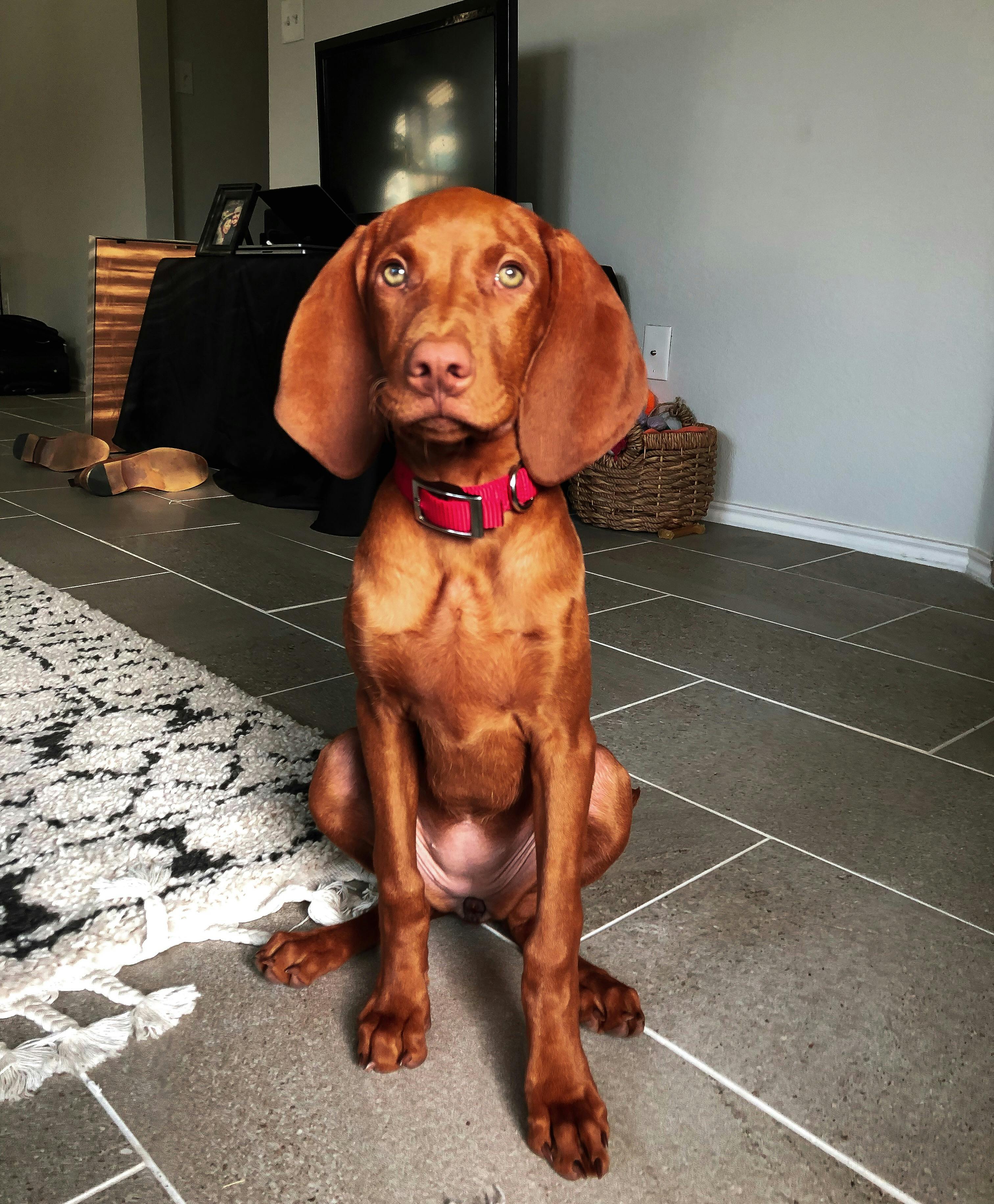 Charles Roth - Photography