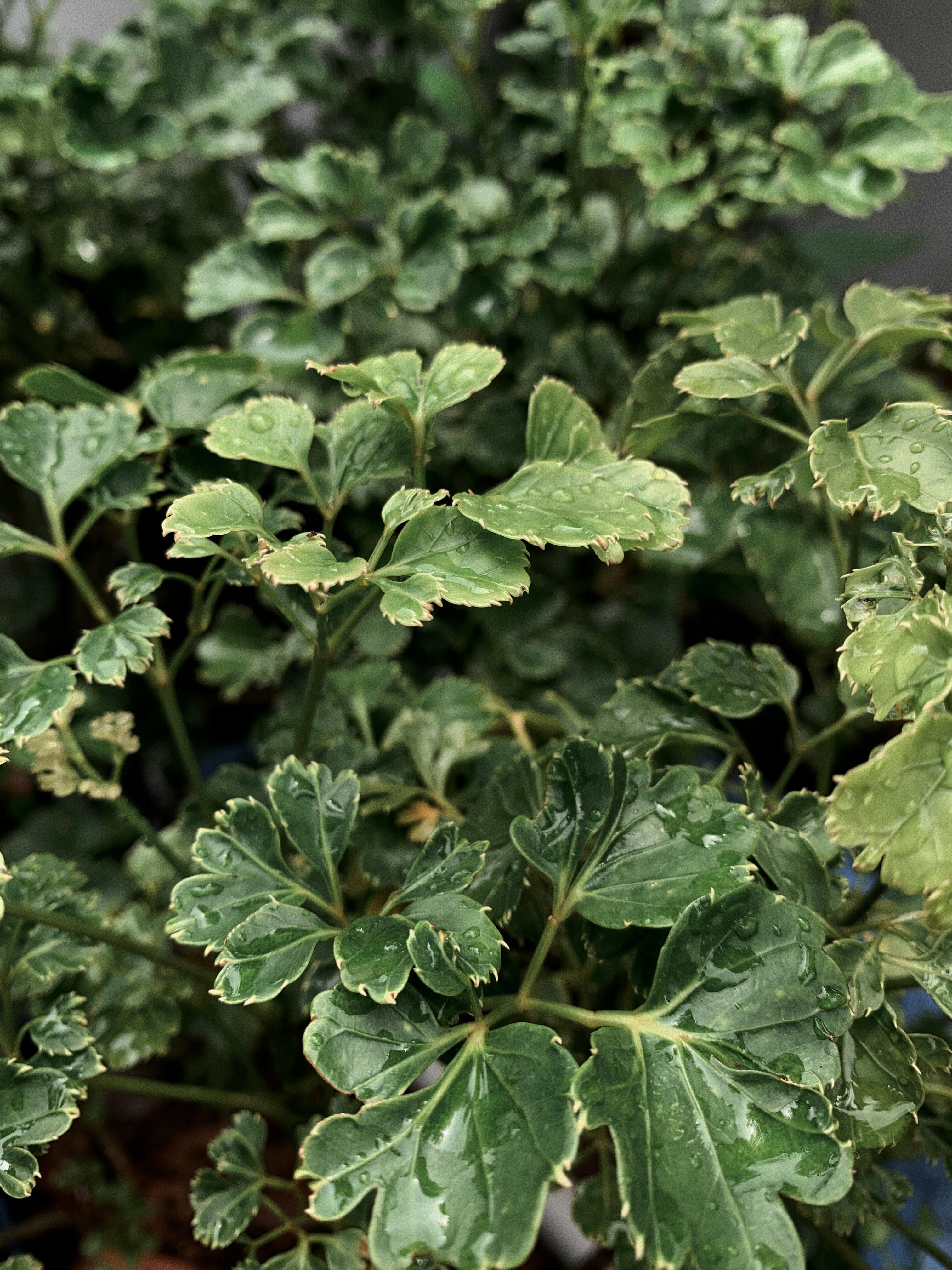 Vo Thuy Tien - Photography