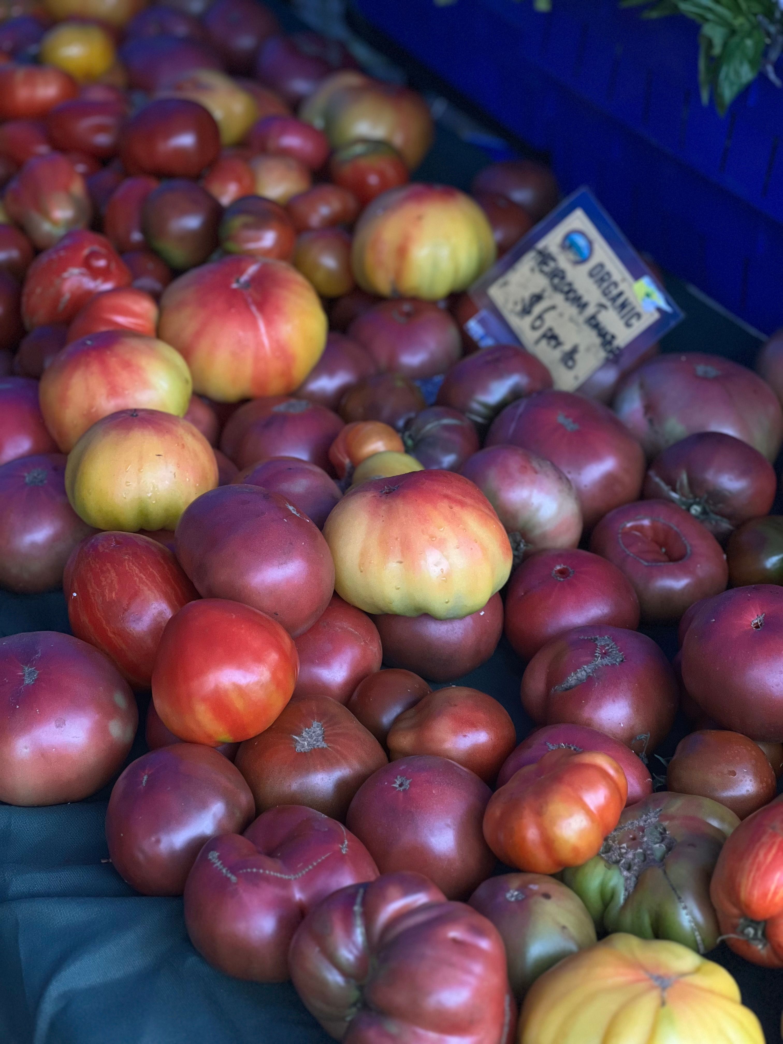 A display of tomatoes at a farmers market · Free Stock Photo