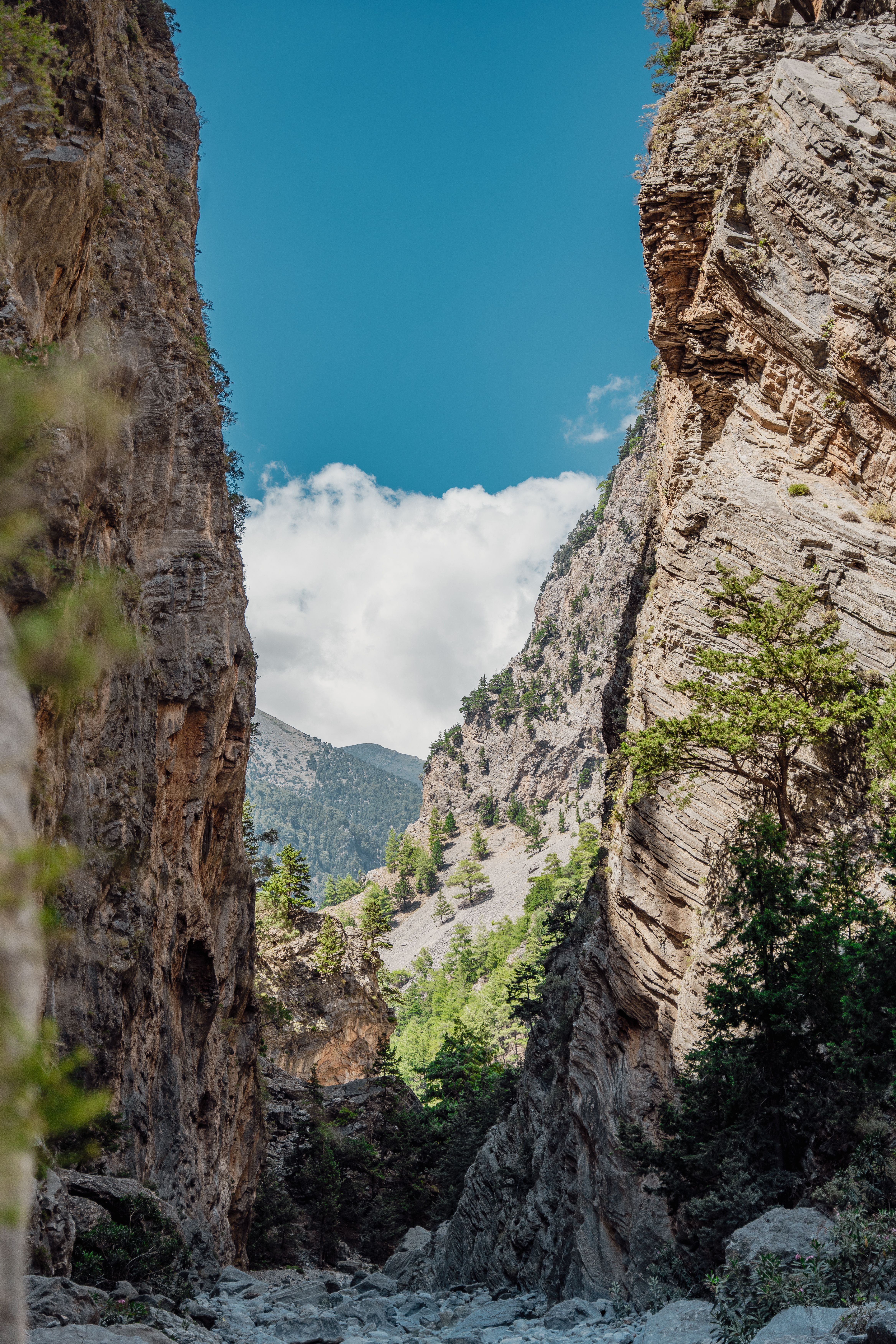 A narrow canyon with rocks and trees · Free Stock Photo