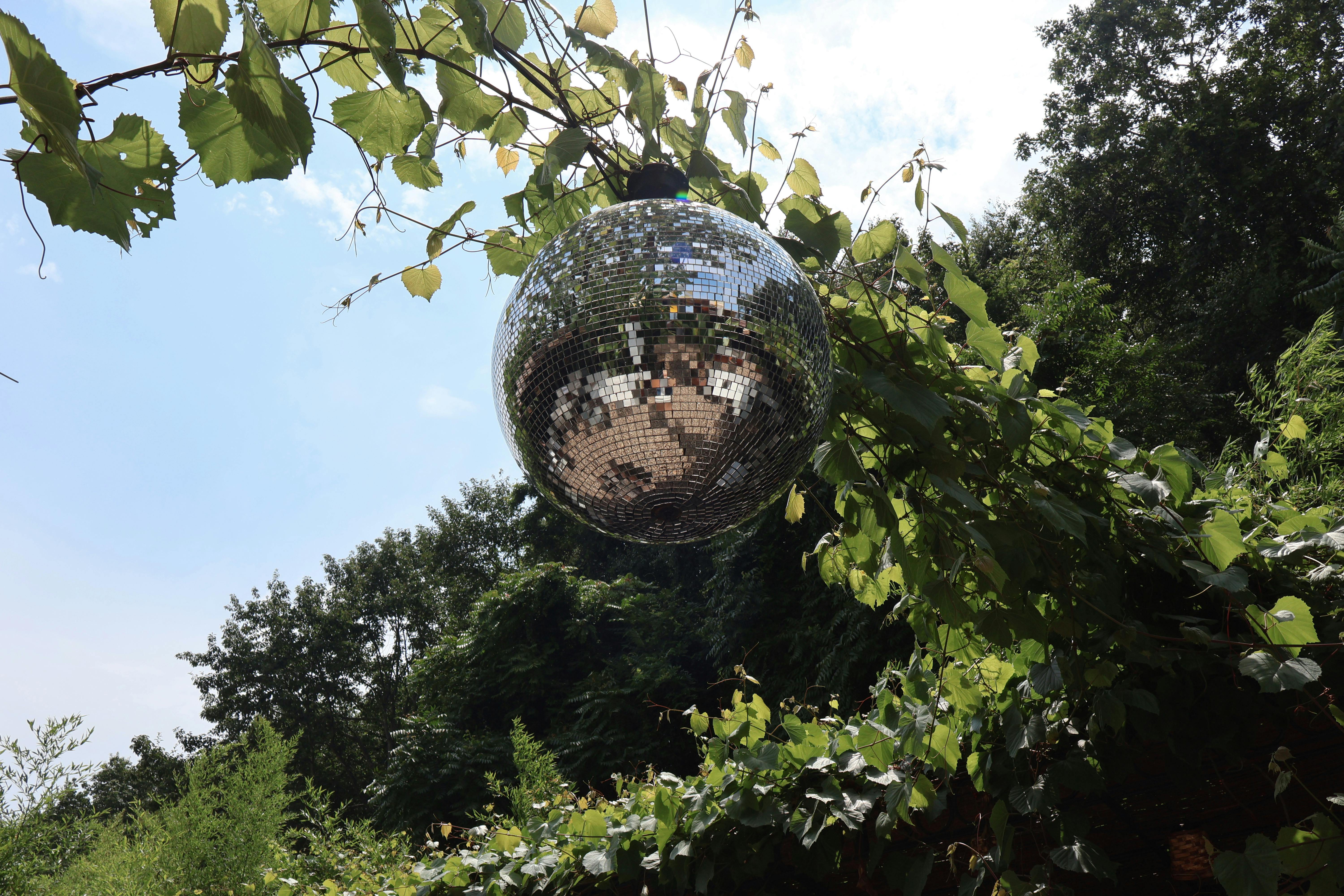 A silver ball hanging from a tree branch · Free Stock Photo