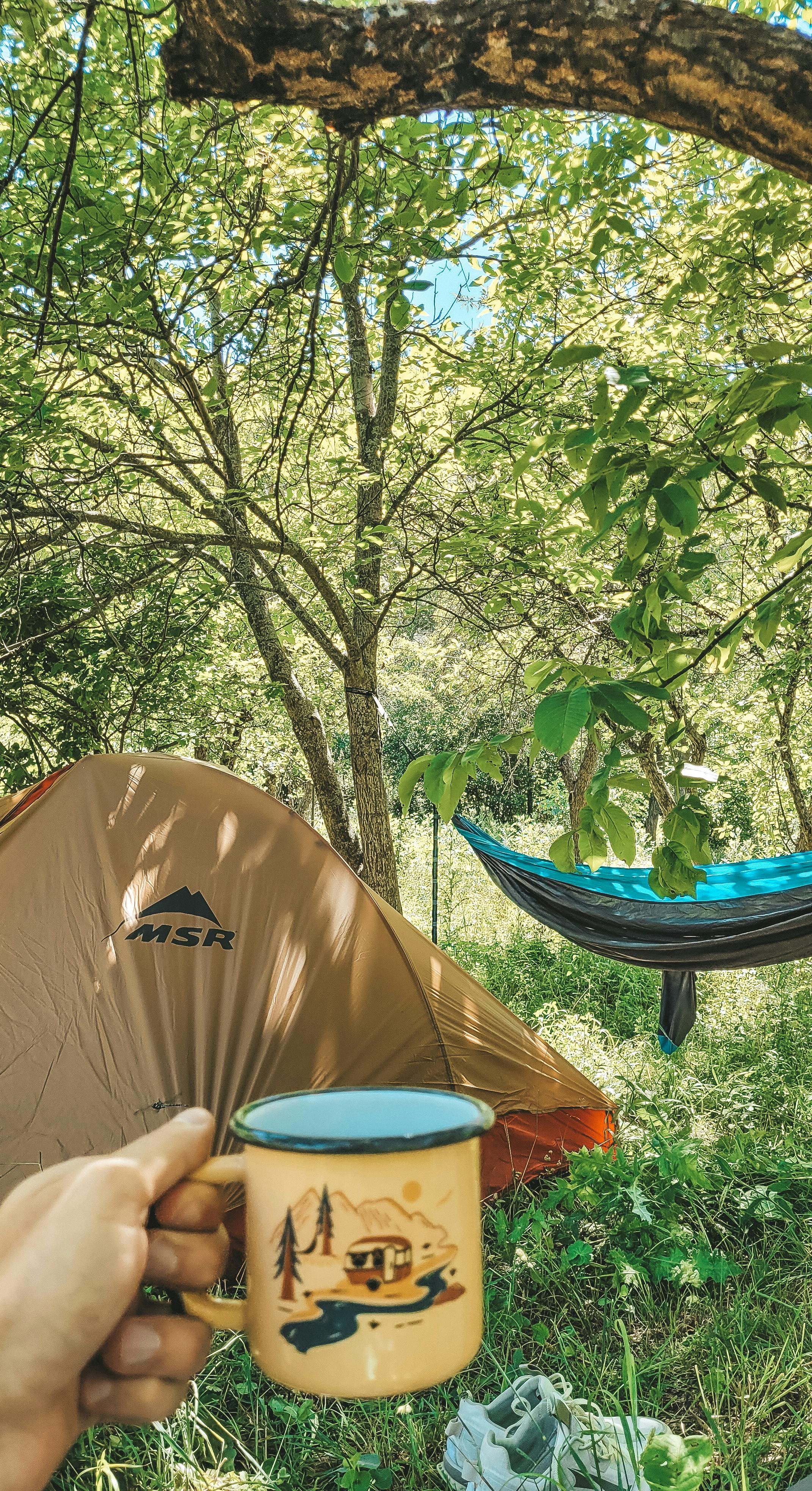 Coffi Photos, Download The BEST Free Coffi Stock Photos & HD Images