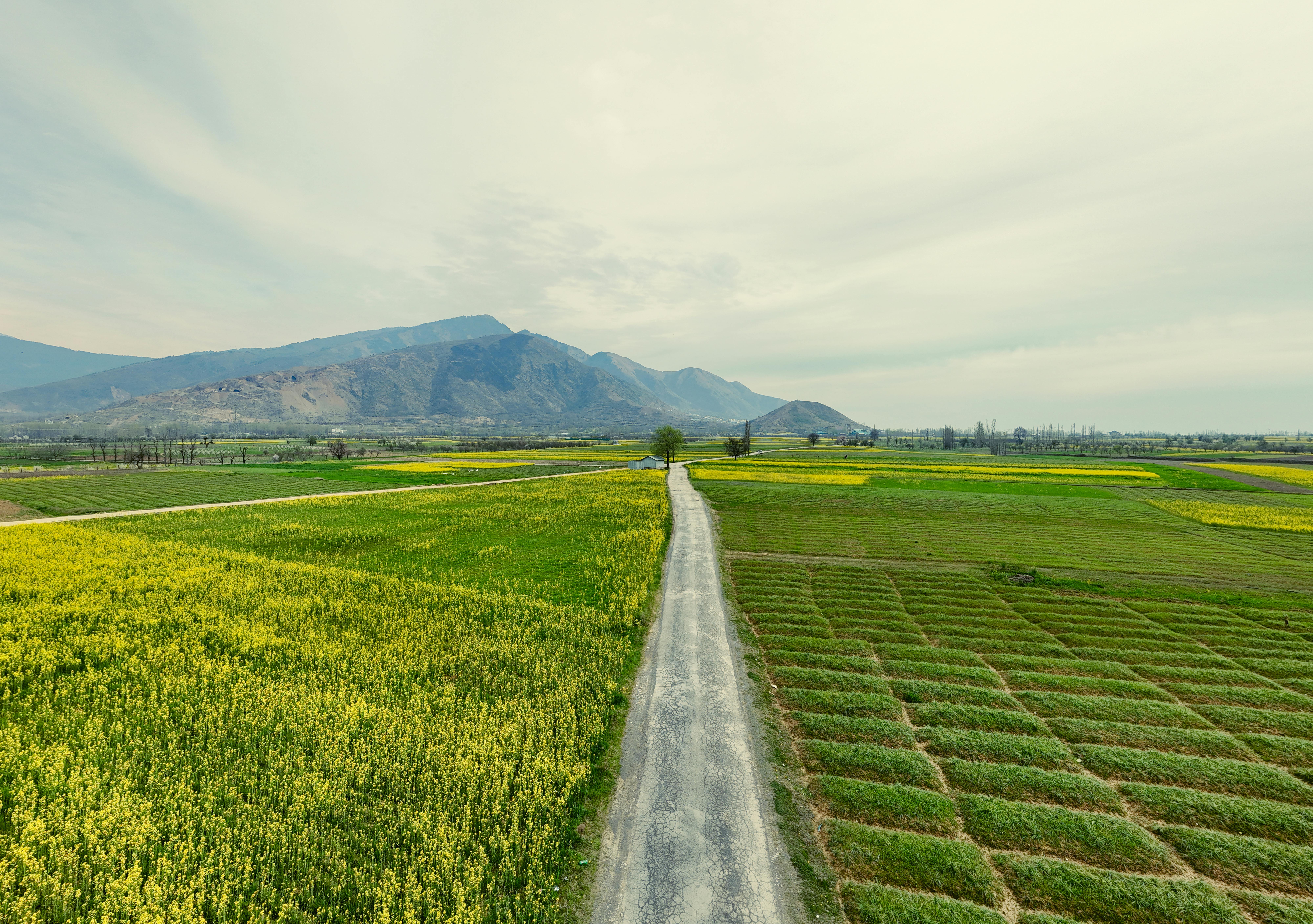 Divided Fields Photos, Download The BEST Free Divided Fields Stock ...