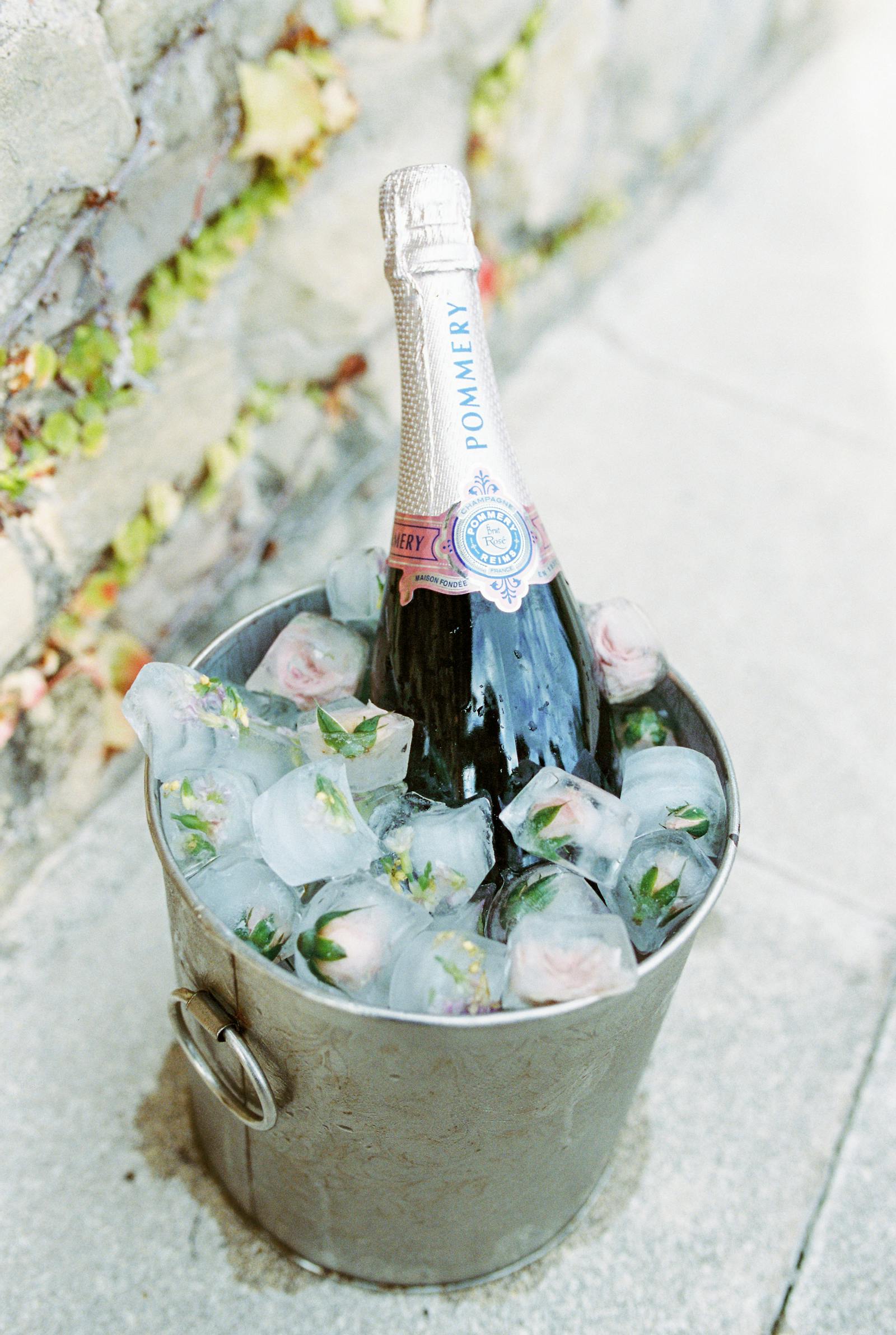 Appy Cold Drink Bottle Photos, Download The BEST Free Appy Cold Drink ...