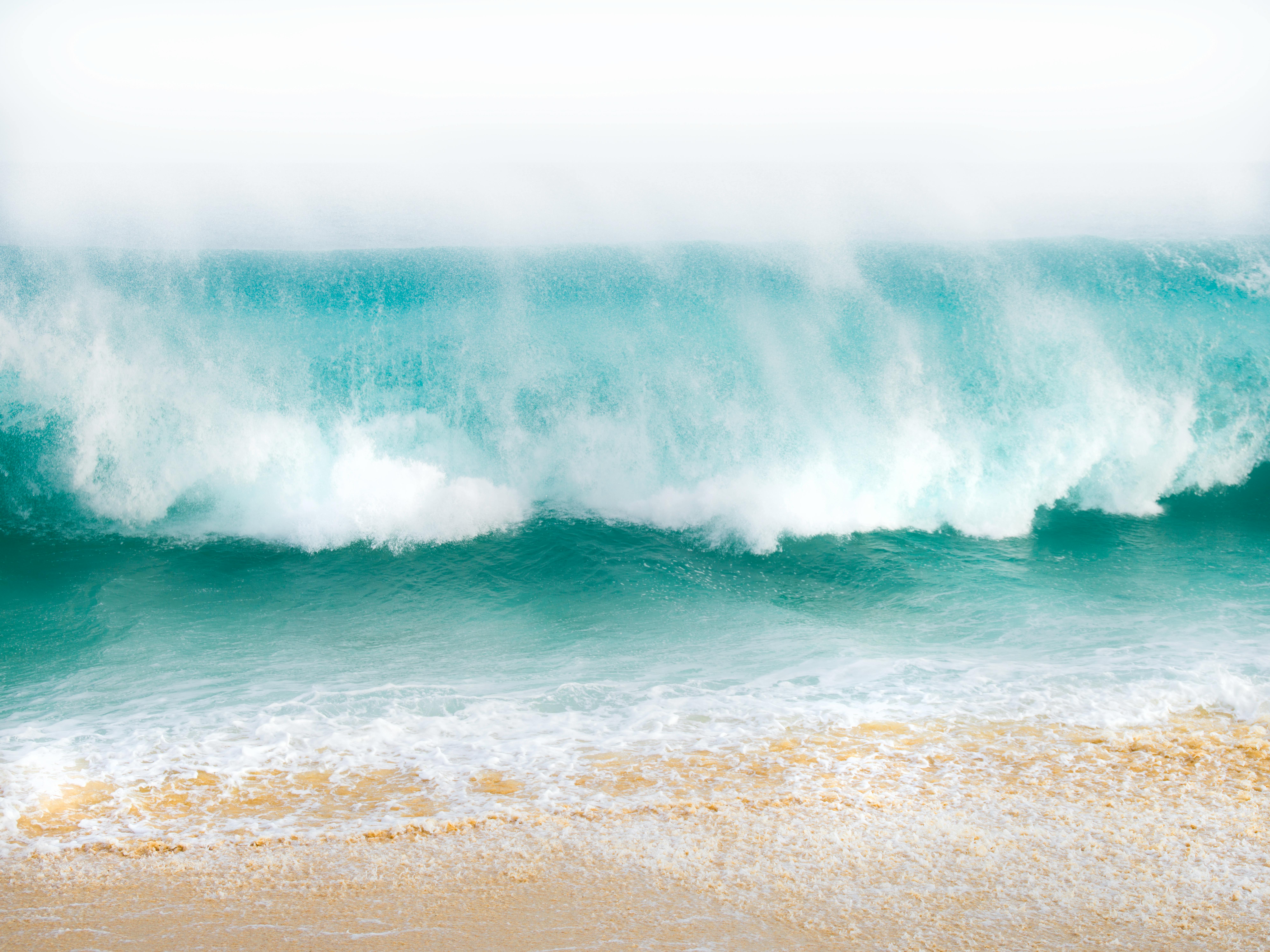 Beach Shots Photos, Download The BEST Free Beach Shots Stock Photos ...