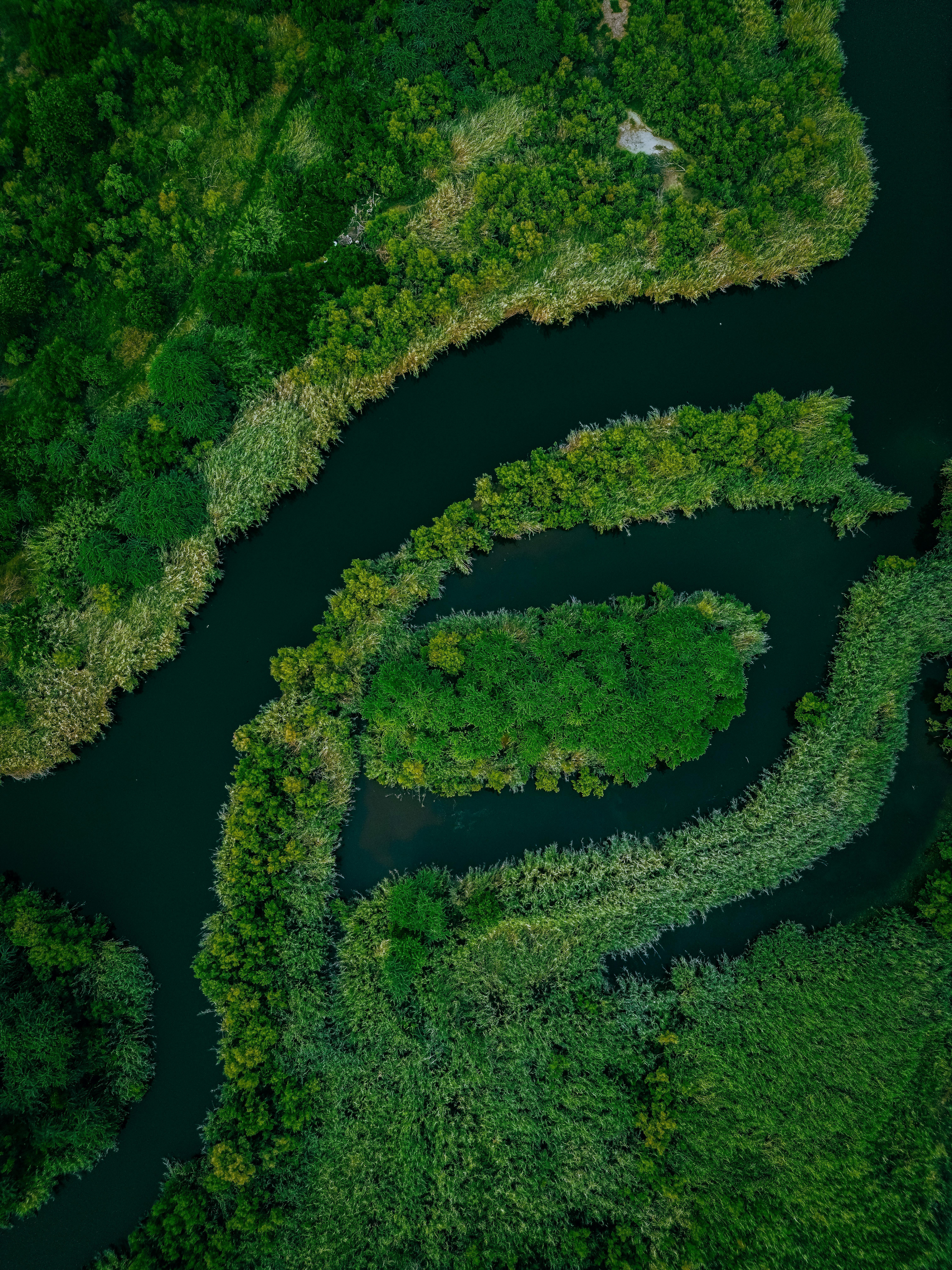 Farman Ansari - Photography