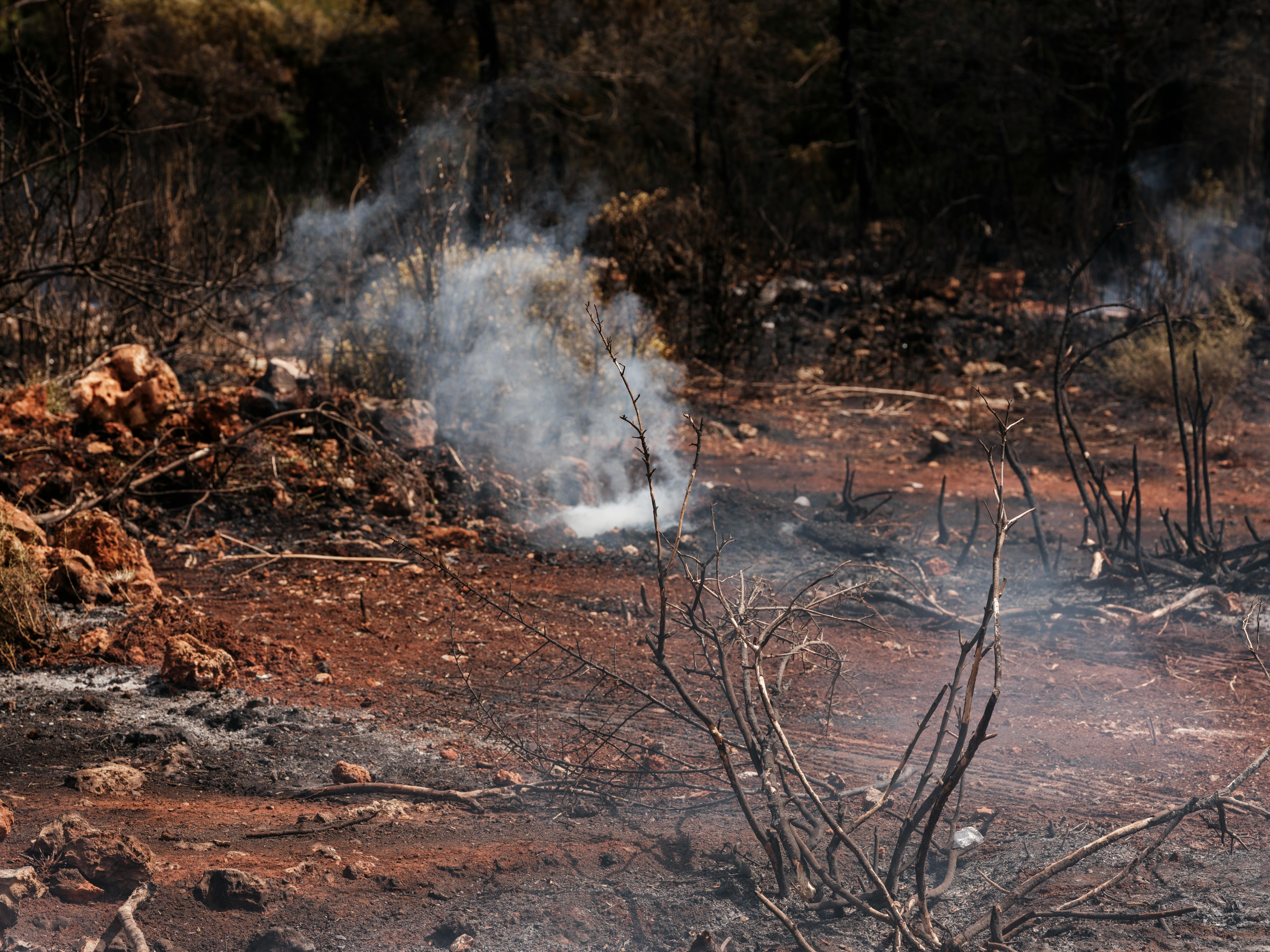 Ecological Recovery Photos, Download The BEST Free Ecological Recovery ...