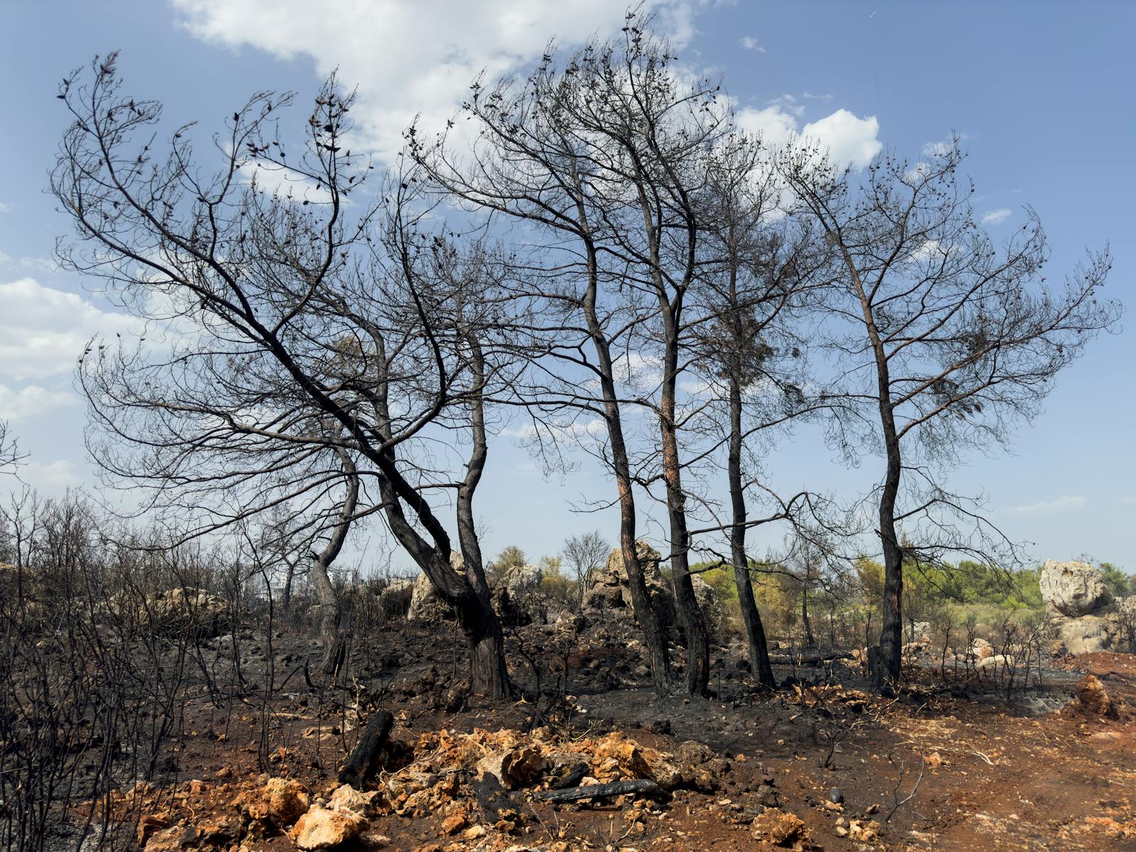 Natural Disaster? Photos, Download The BEST Free Natural Disaster ...