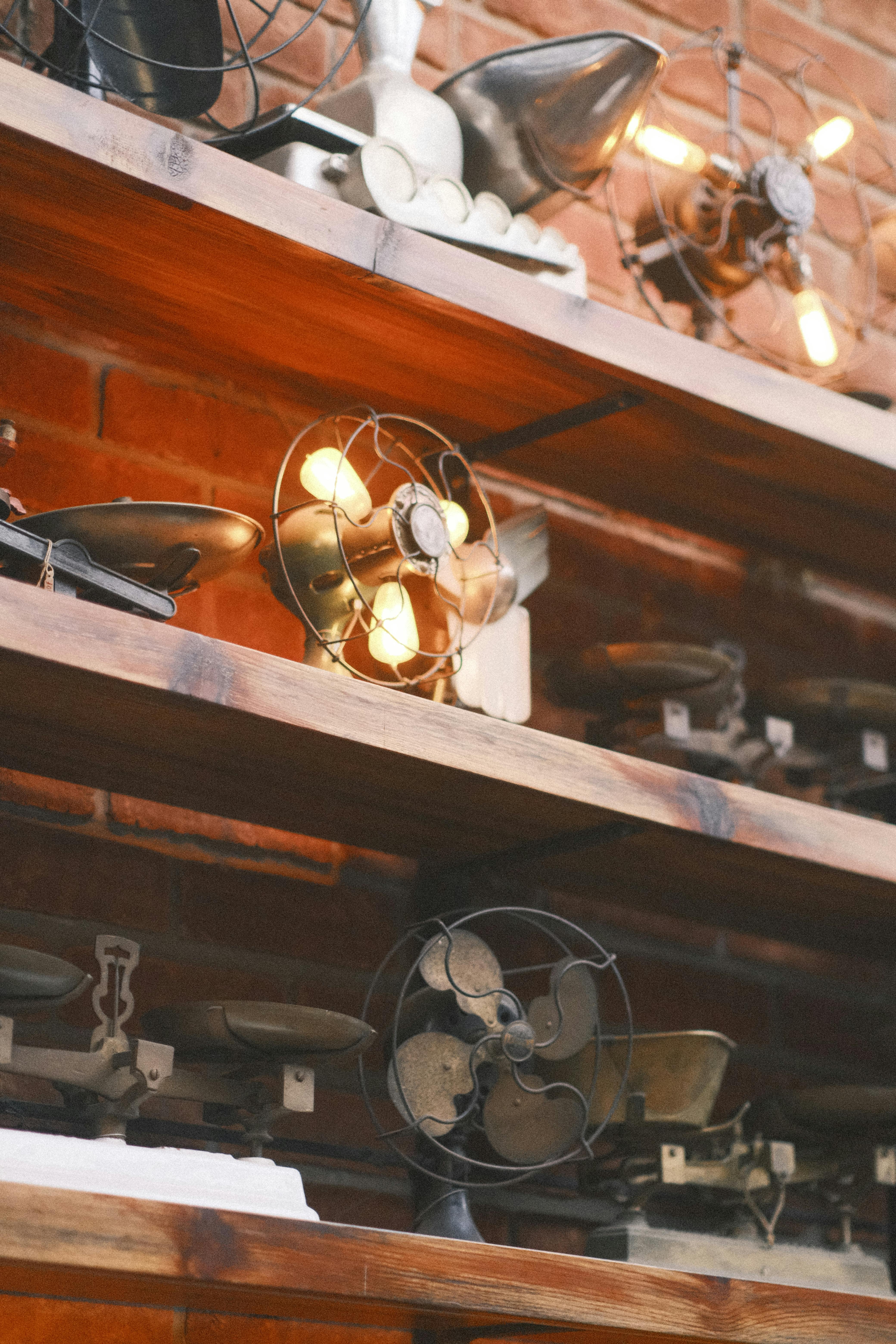 A collection of vintage fans on shelves · Free Stock Photo
