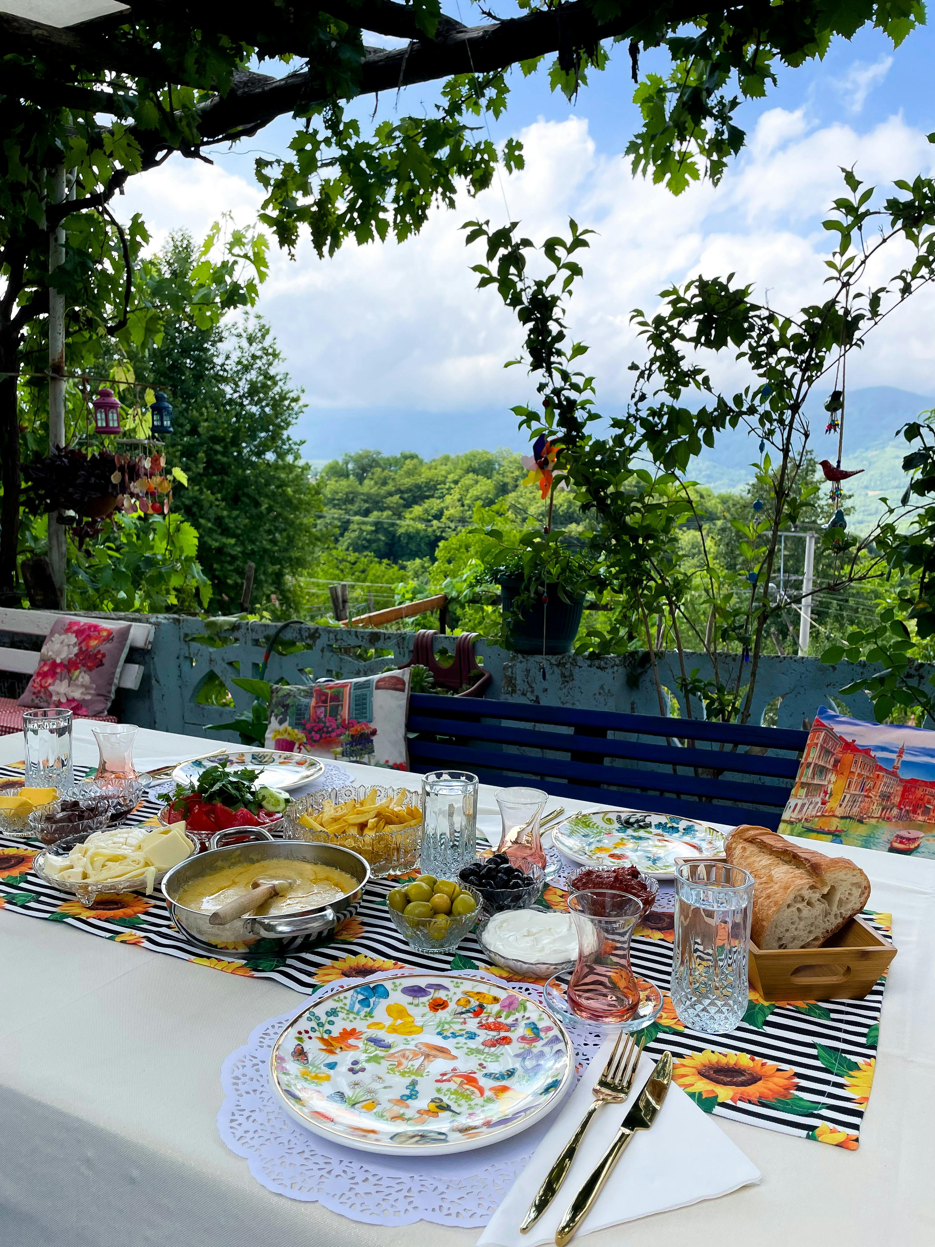 Vine Izmit Photos, Download The BEST Free Vine Izmit Stock Photos & HD ...