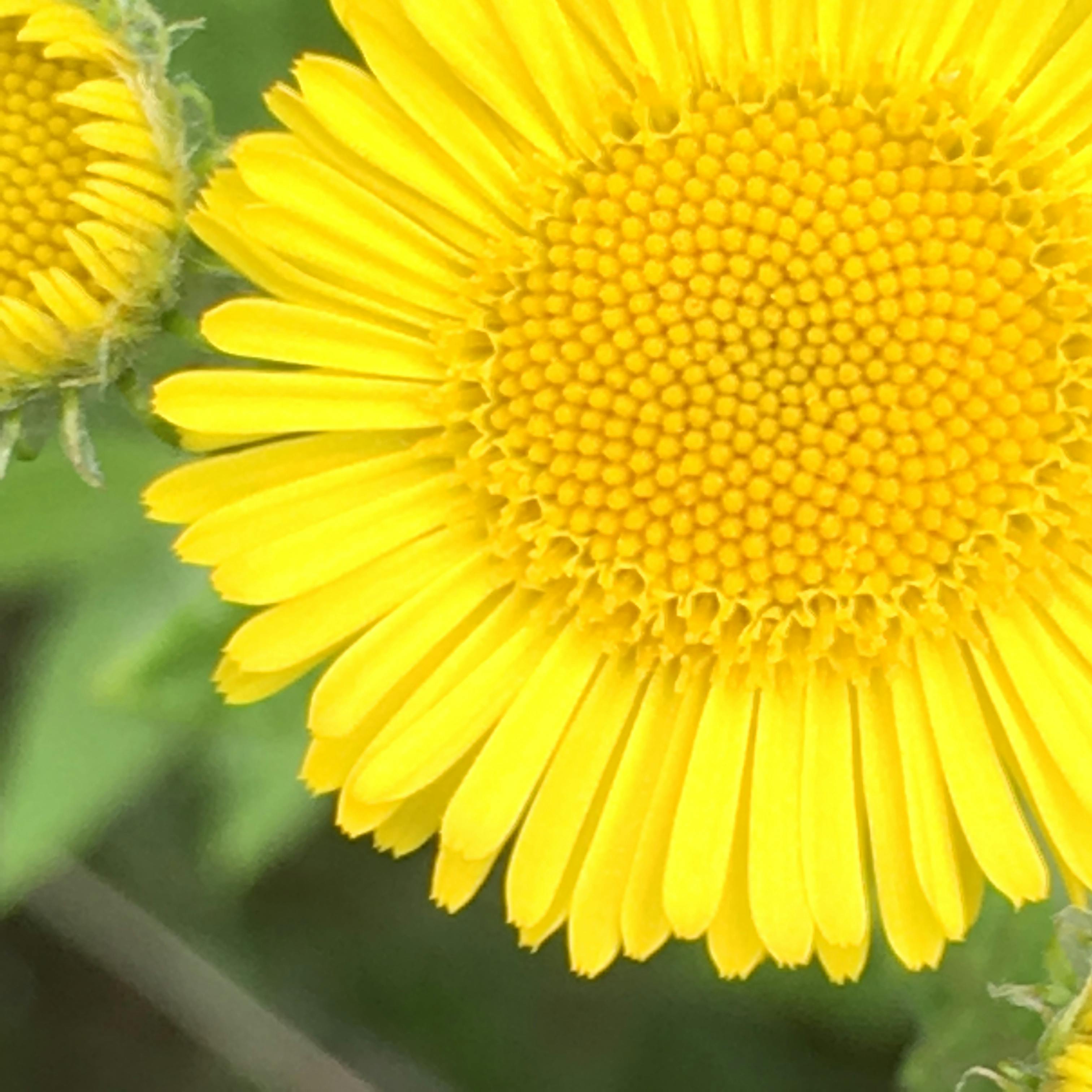 Display photography 7 Photos & Videos Collected by Richard Hewitson