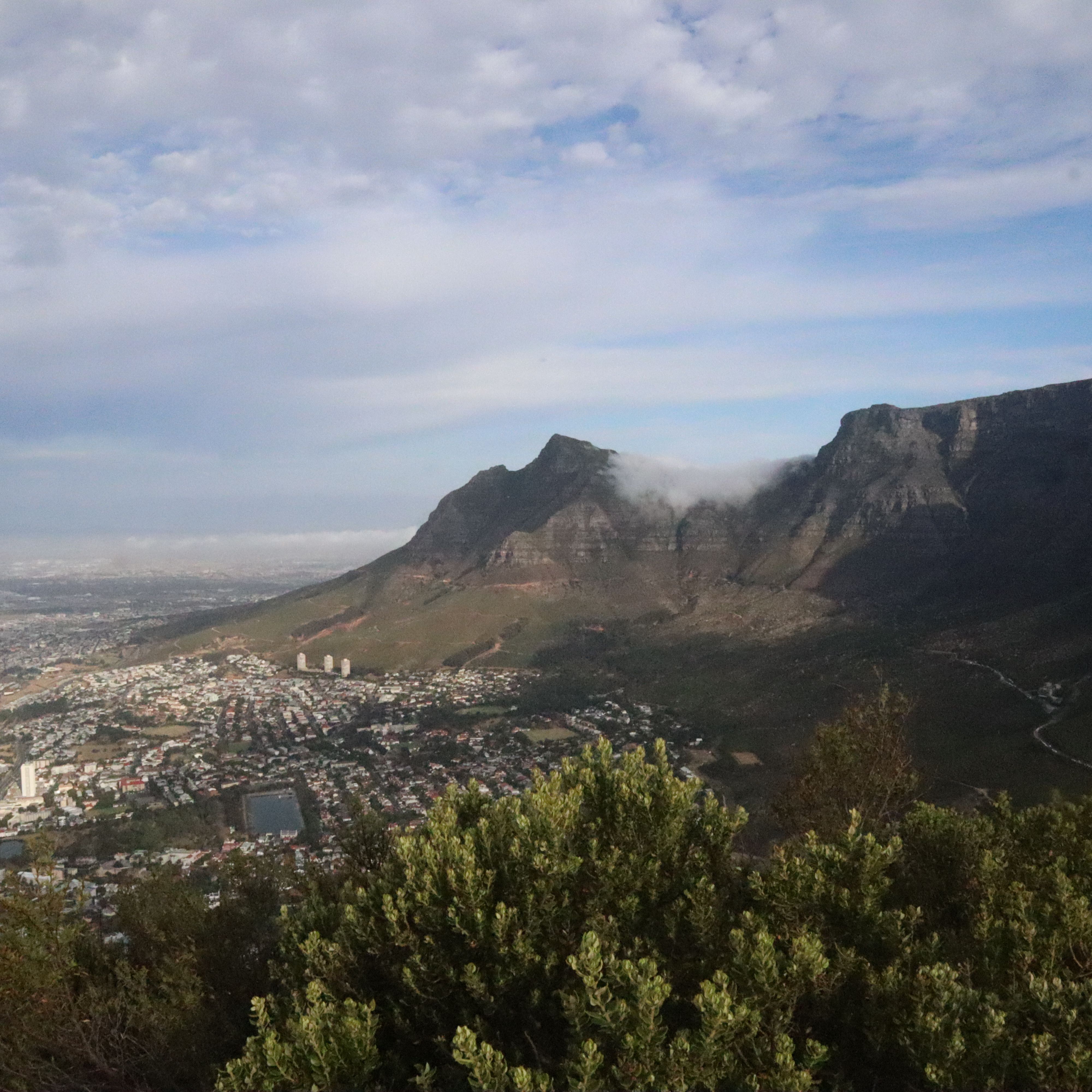 The view from the top of table mountain · Free Stock Photo