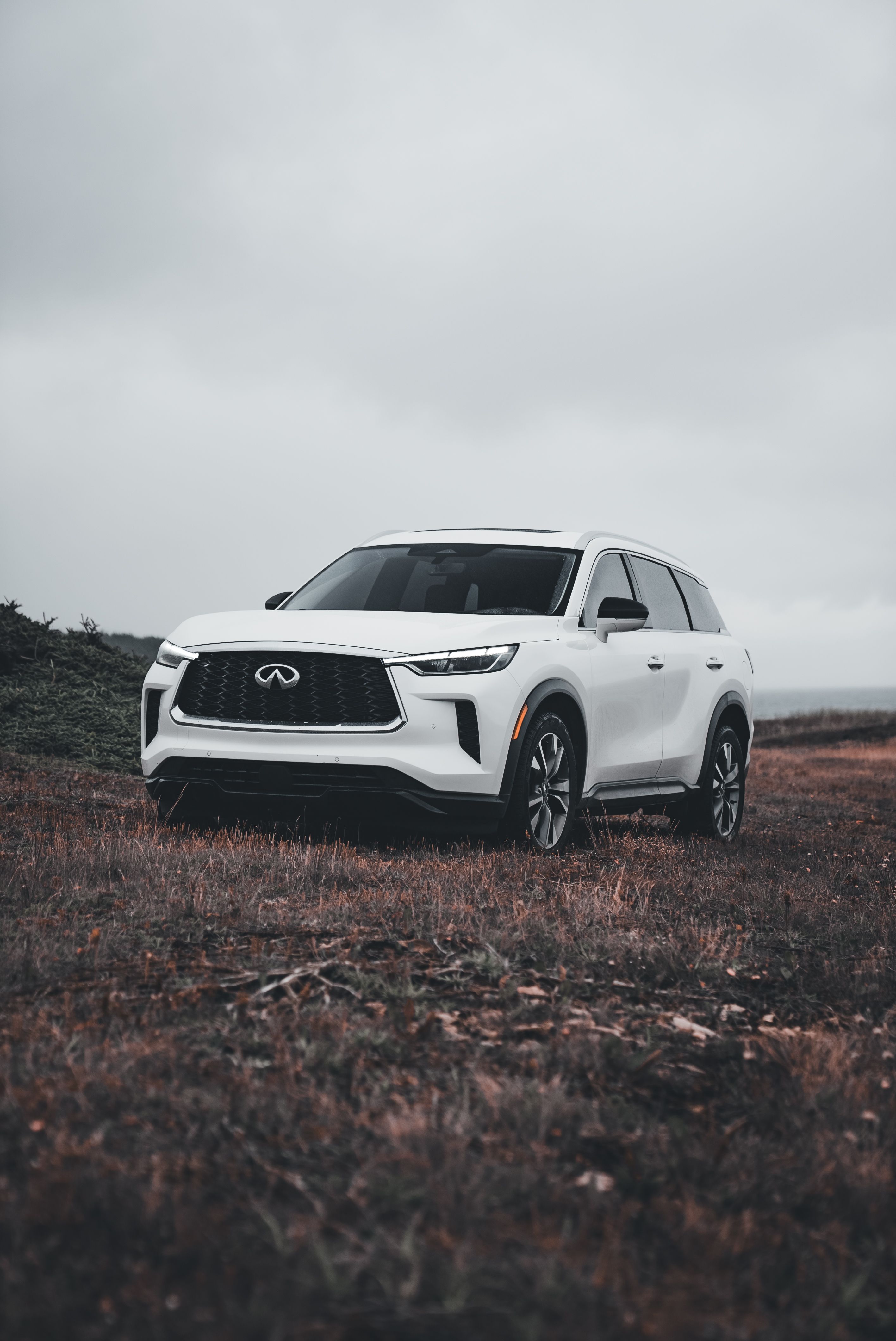 The white 2020 infiniti suv parked in a field · Free Stock Photo