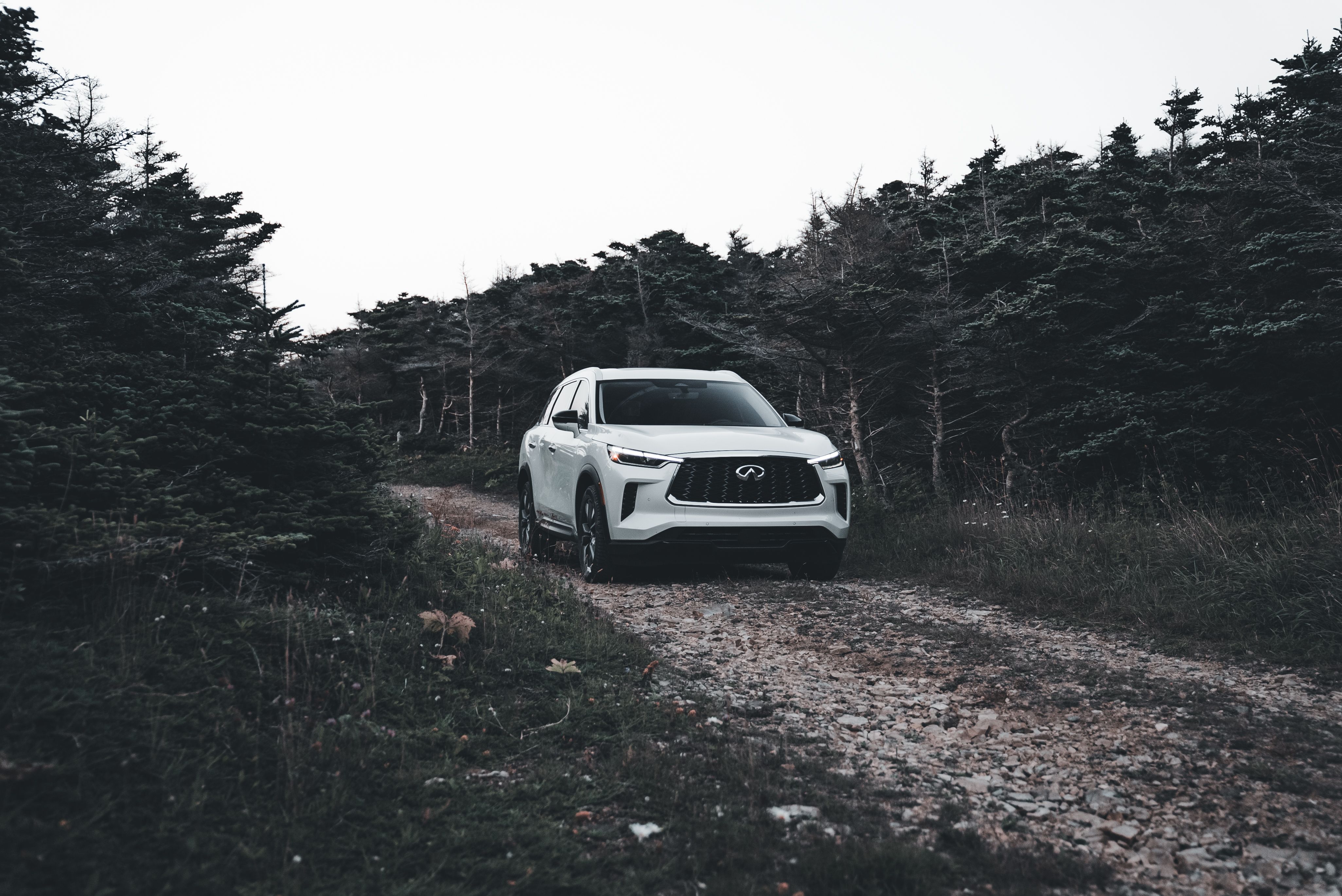 A white suv driving down a dirt road in the woods · Free Stock Photo