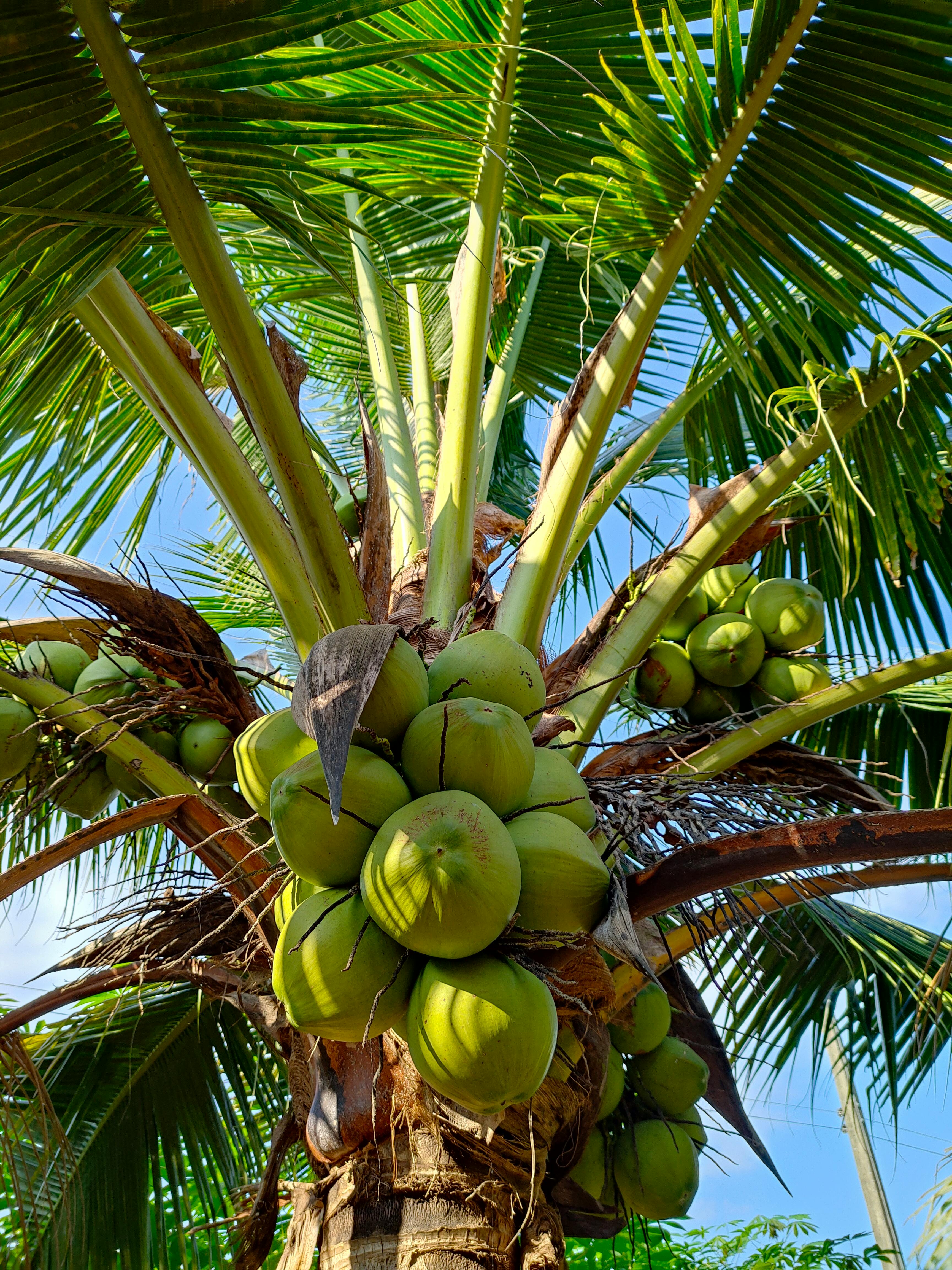 Takase taka - Photography