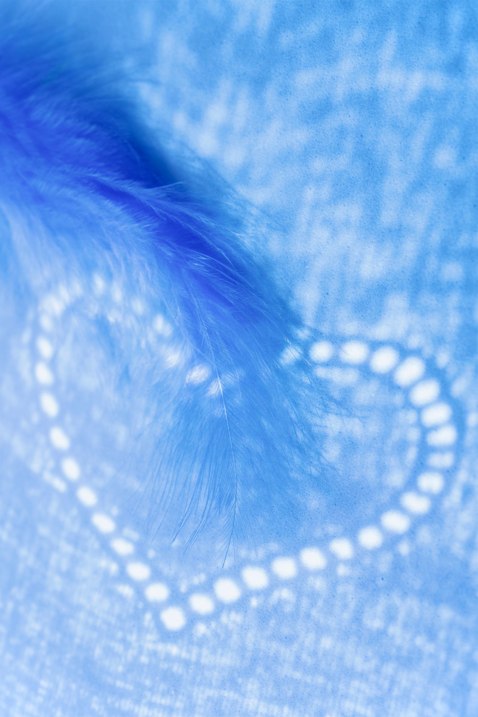 Blue Girly Wallpaper Photos, Download The BEST Free Blue Girly ...