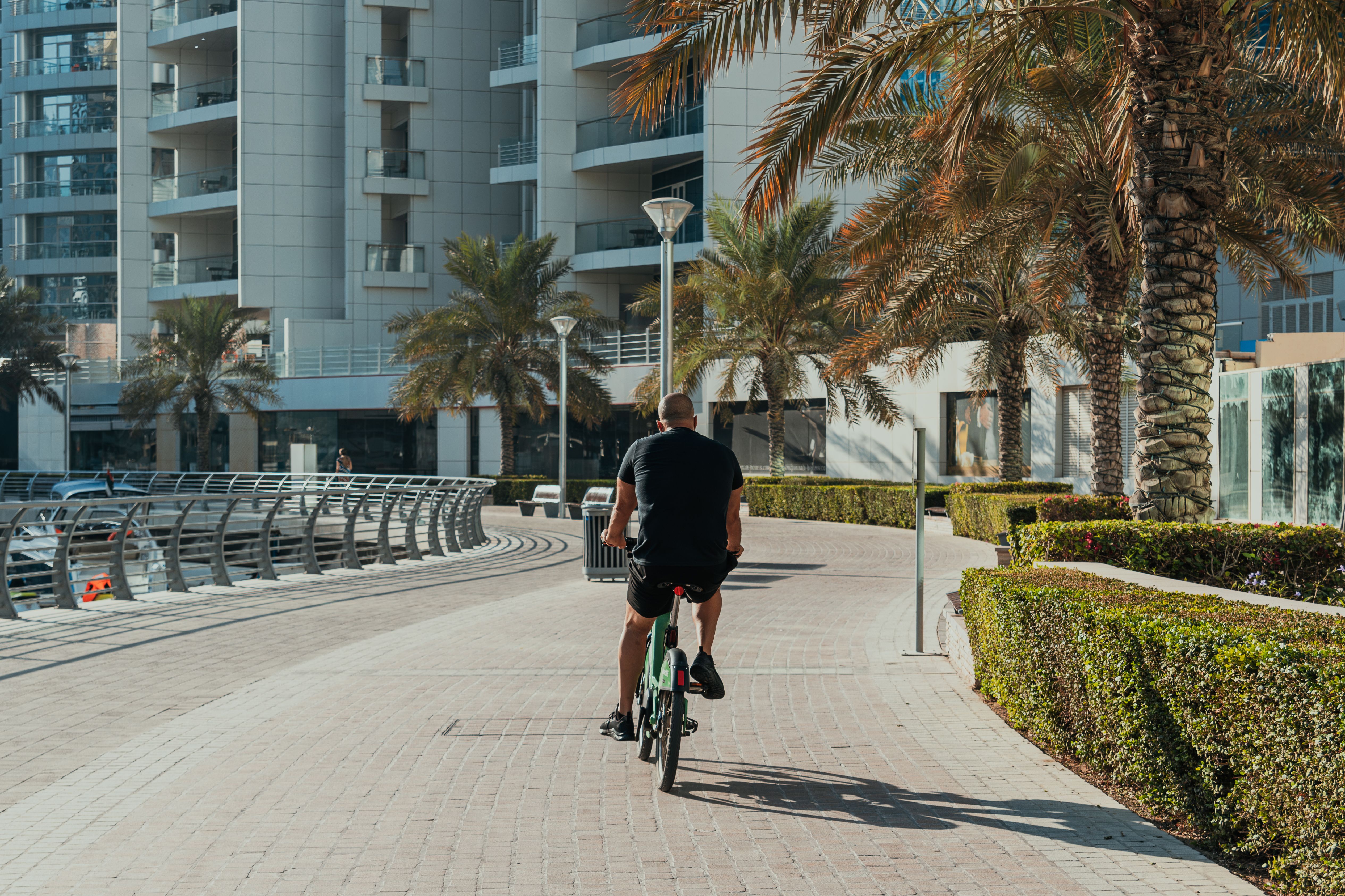 Morning waterfront promenade with palm trees and cyclists on modern ...