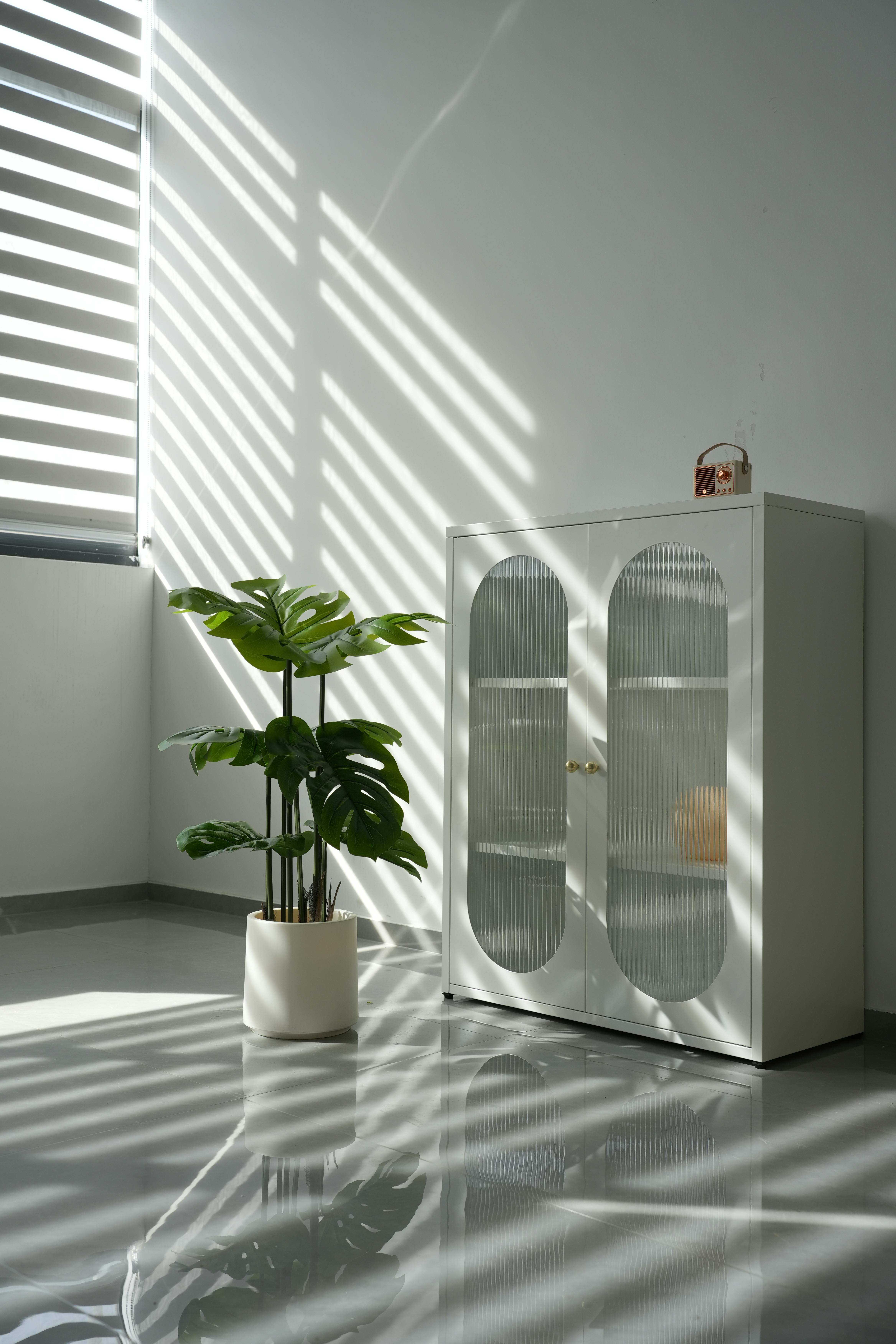 Monstera Property Photos, Download The BEST Free Monstera Property ...