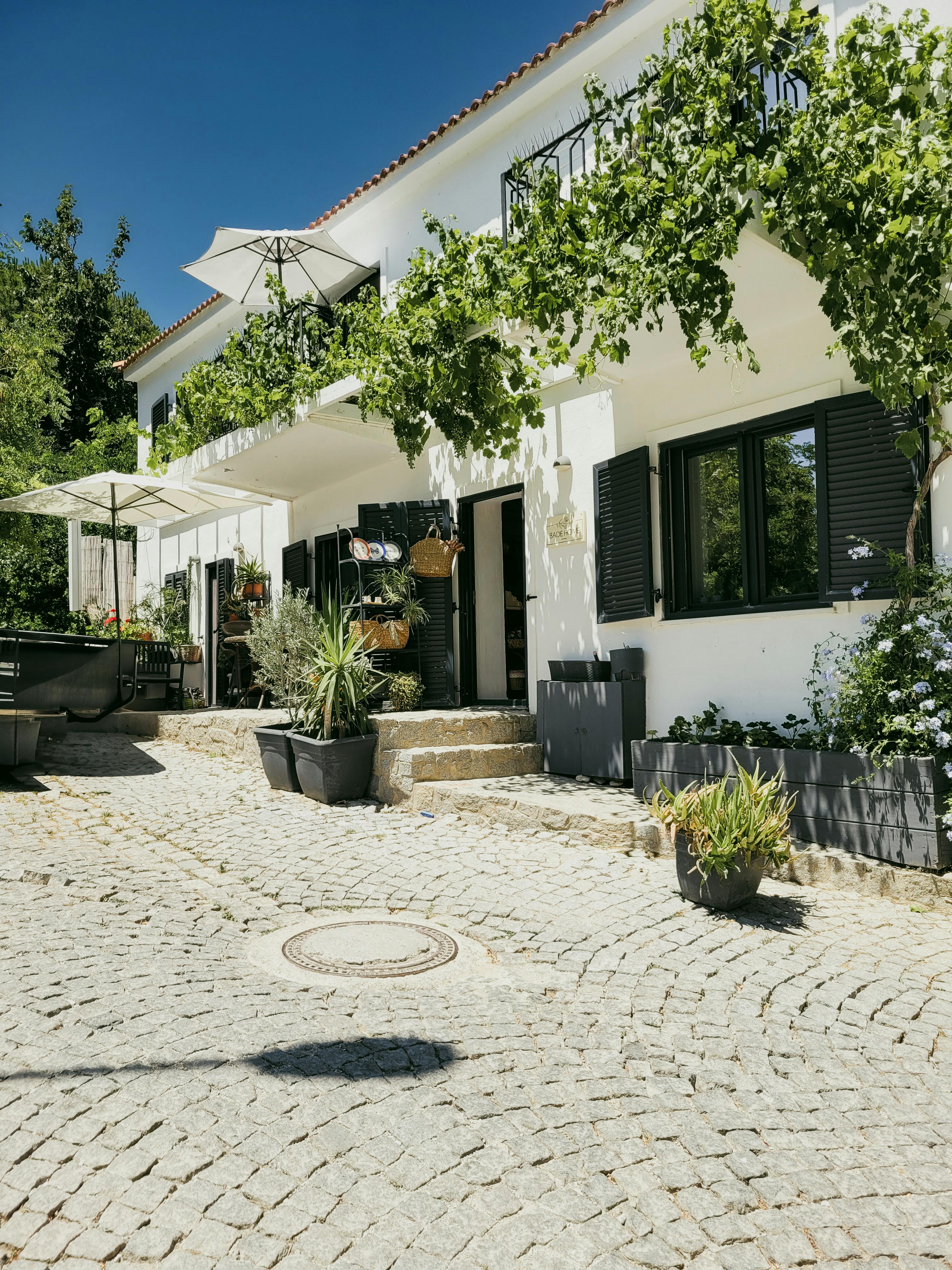 A house with a white brick path and potted plants · Free Stock Photo