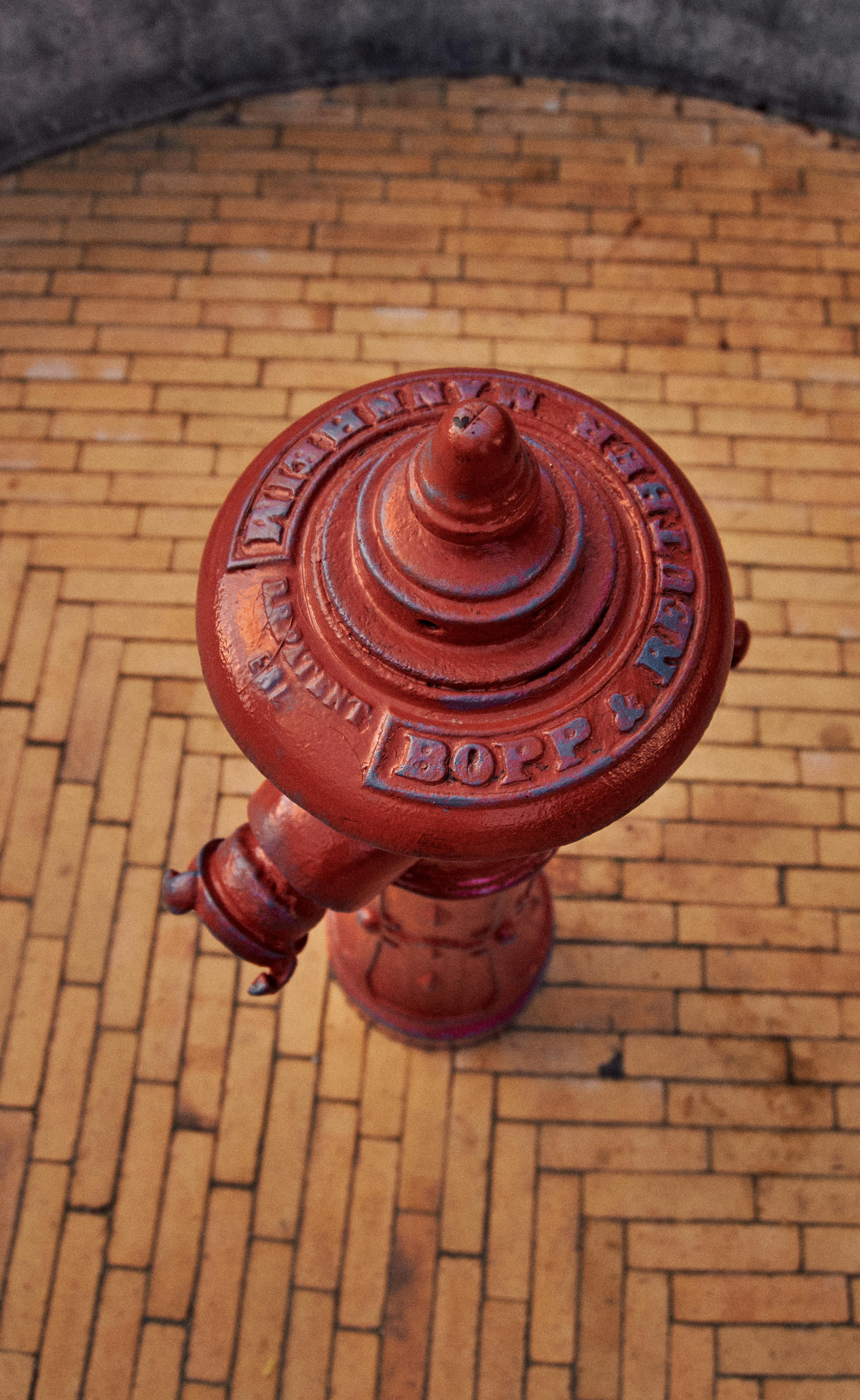 Person Showing Fire Hydrant · Free Stock Photo