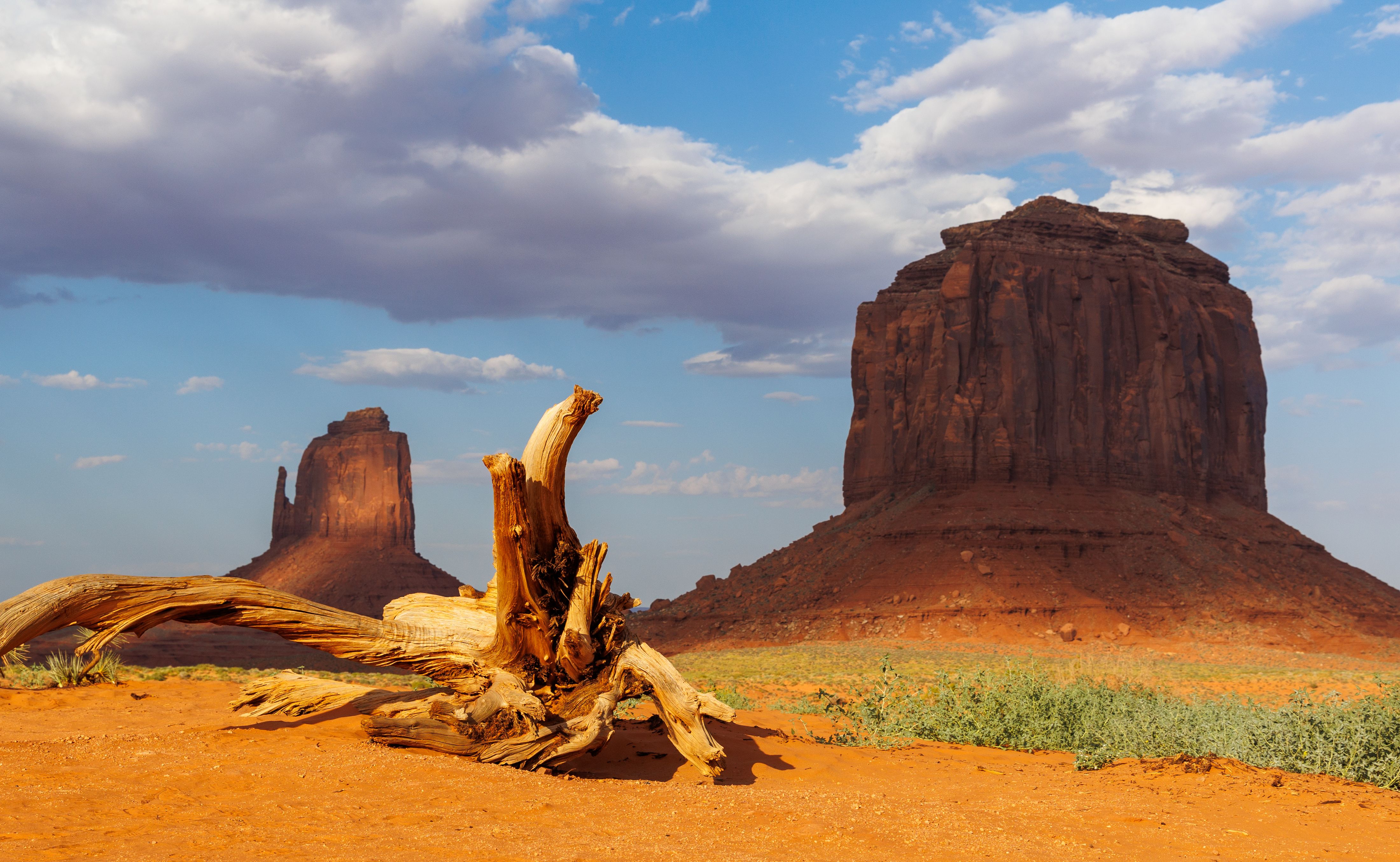 A dead tree in the desert with two large rocks · Free Stock Photo