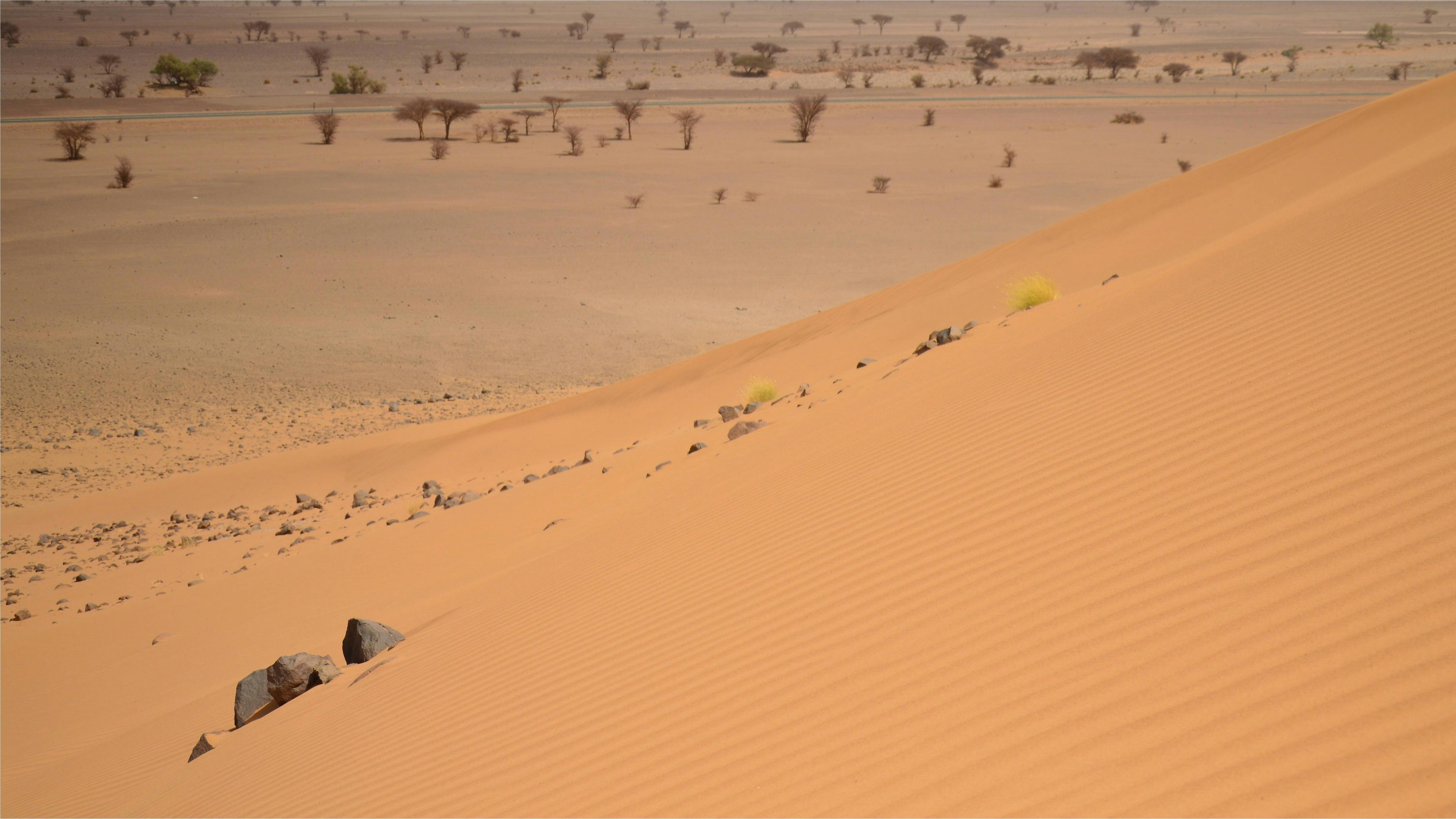 High Angle Shot Of A Person Walking Alone In The Desert · Free Stock Photo